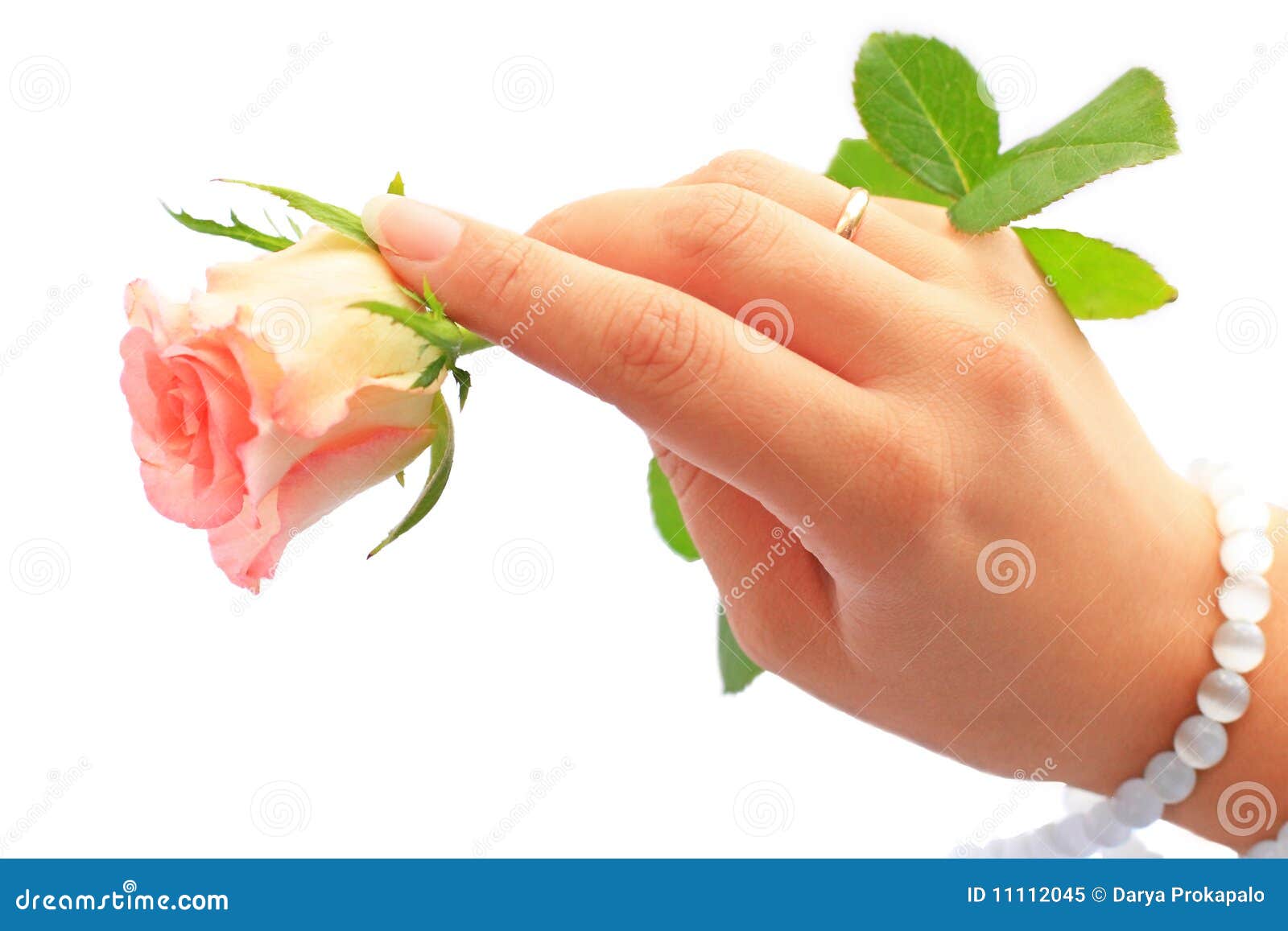 Hand holding rose stock image. Image of beads, woman - 11112045