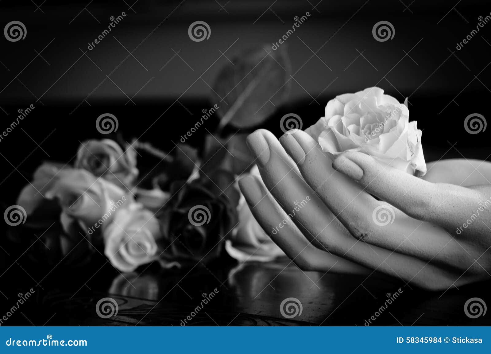 Hand Holding Rose - Black and White Stock Photo - Image of florist ...