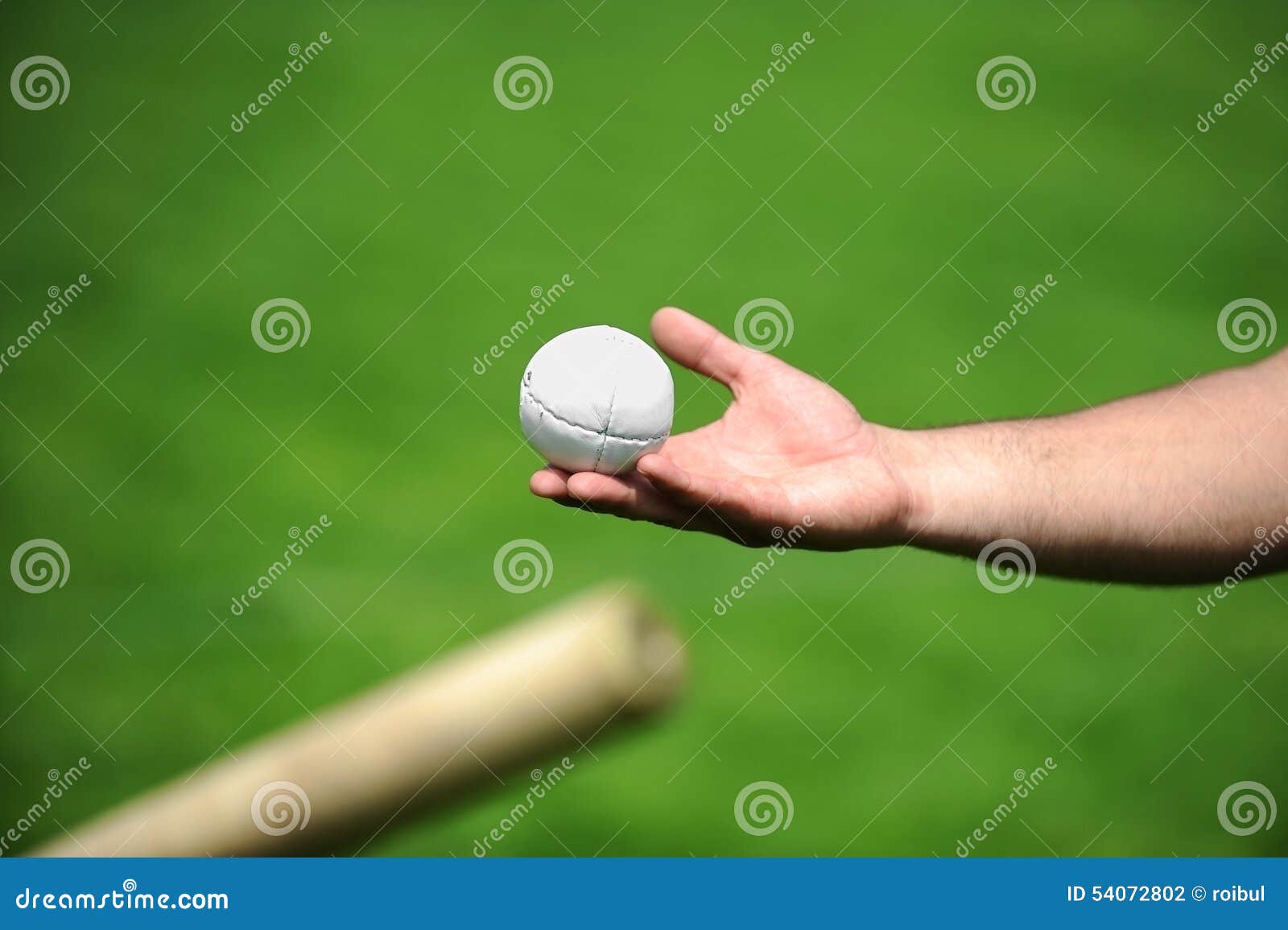 Hand Holding a Rounders Ball Stock Photo - Image of hand, game: 54072802