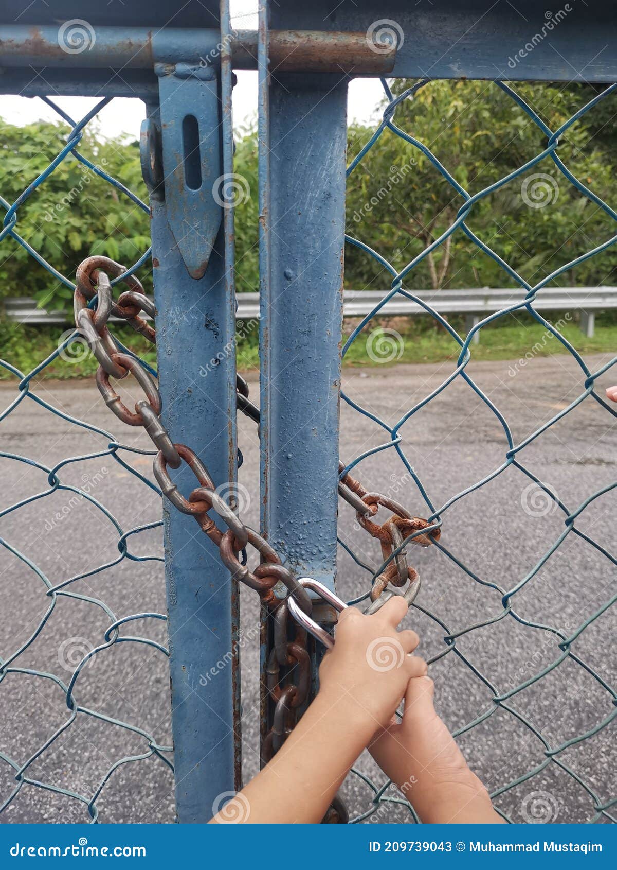 Hand Holding a Rusty Steel Padlock and Chains on a Blue Gate Stock ...