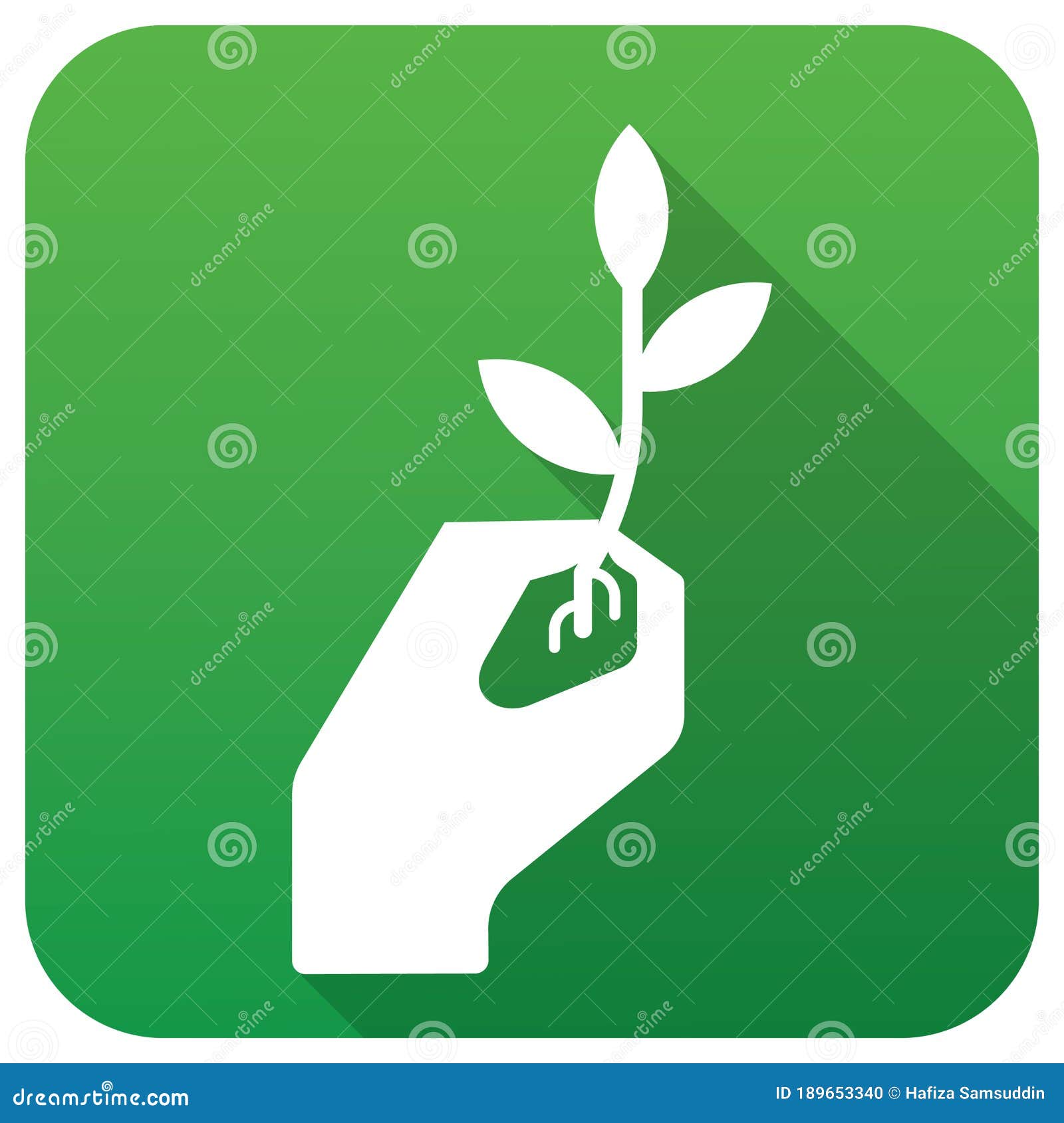 Hand Holding Sapling. Vector Illustration Decorative Design Stock ...