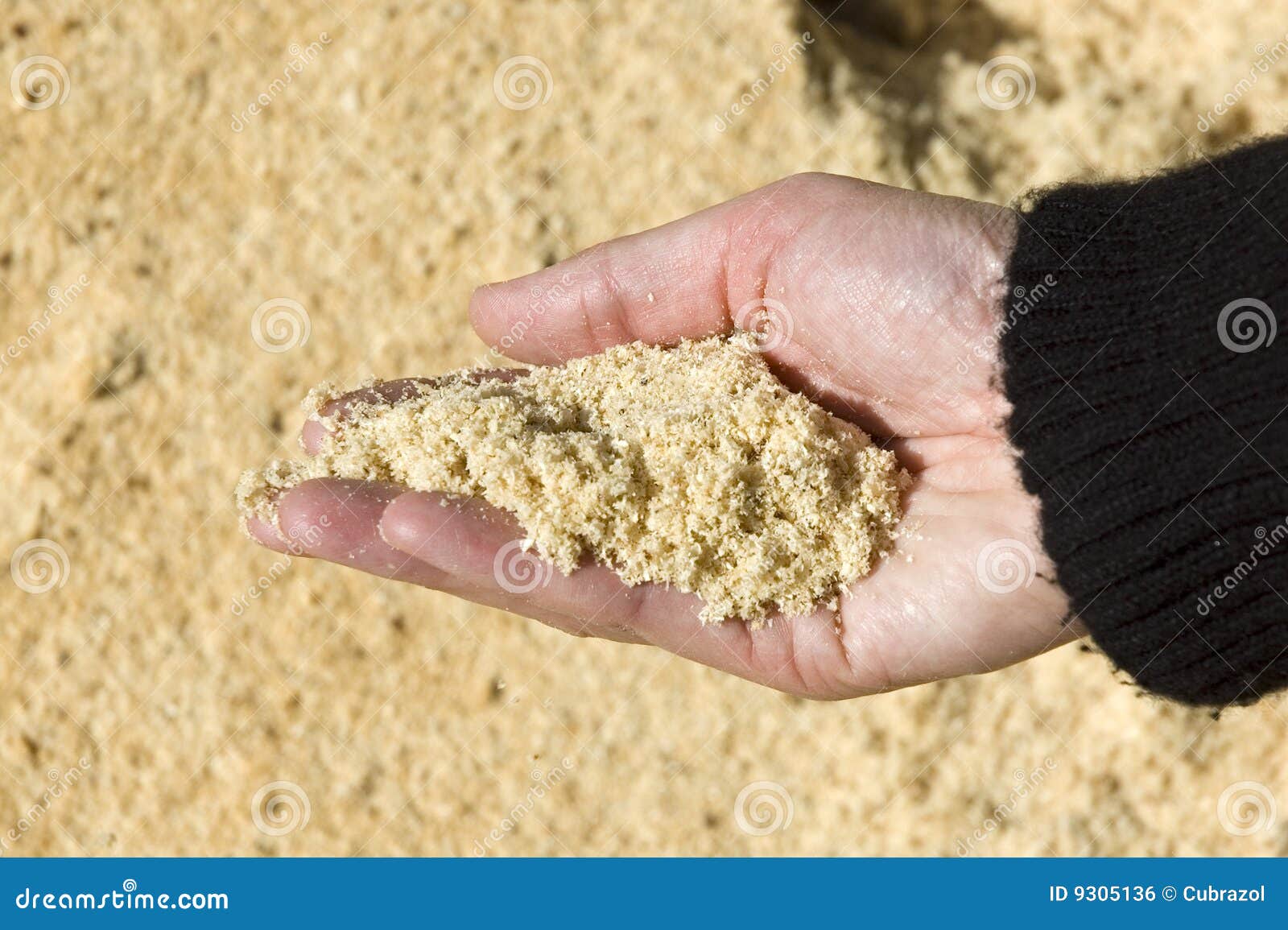 Hand holding saw dust stock photo. Image of yellow, woods - 9305136