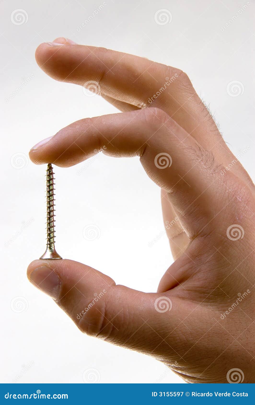 Hand holding stock image. Image of join, fasten, tall - 3155597