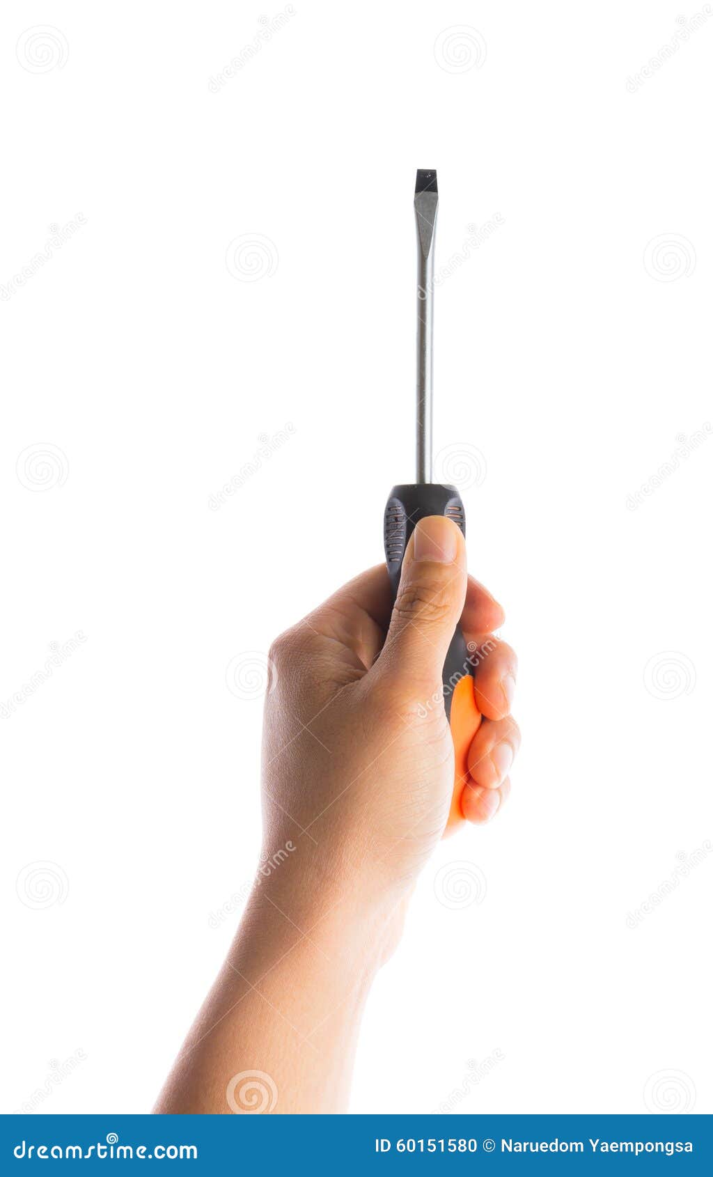 Hand holding screwdriver stock photo. Image of hold, cutout - 60151580