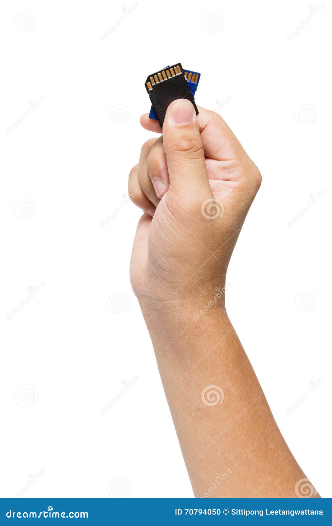 Hand Holding SD Card Isolate on White Stock Photo - Image of multimedia ...