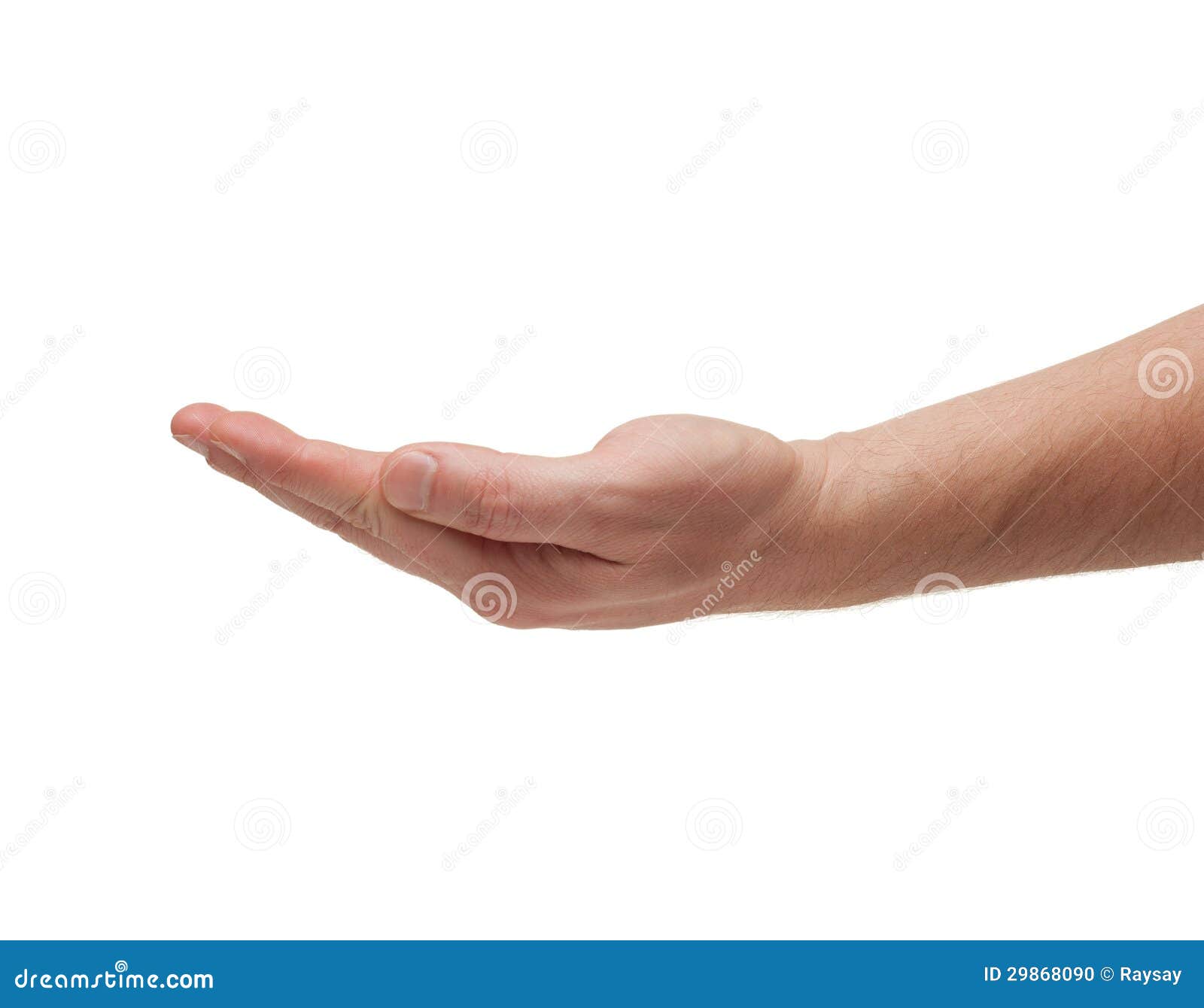 Hand Holding or Showing Some Kind of Product Stock Photo - Image of ...