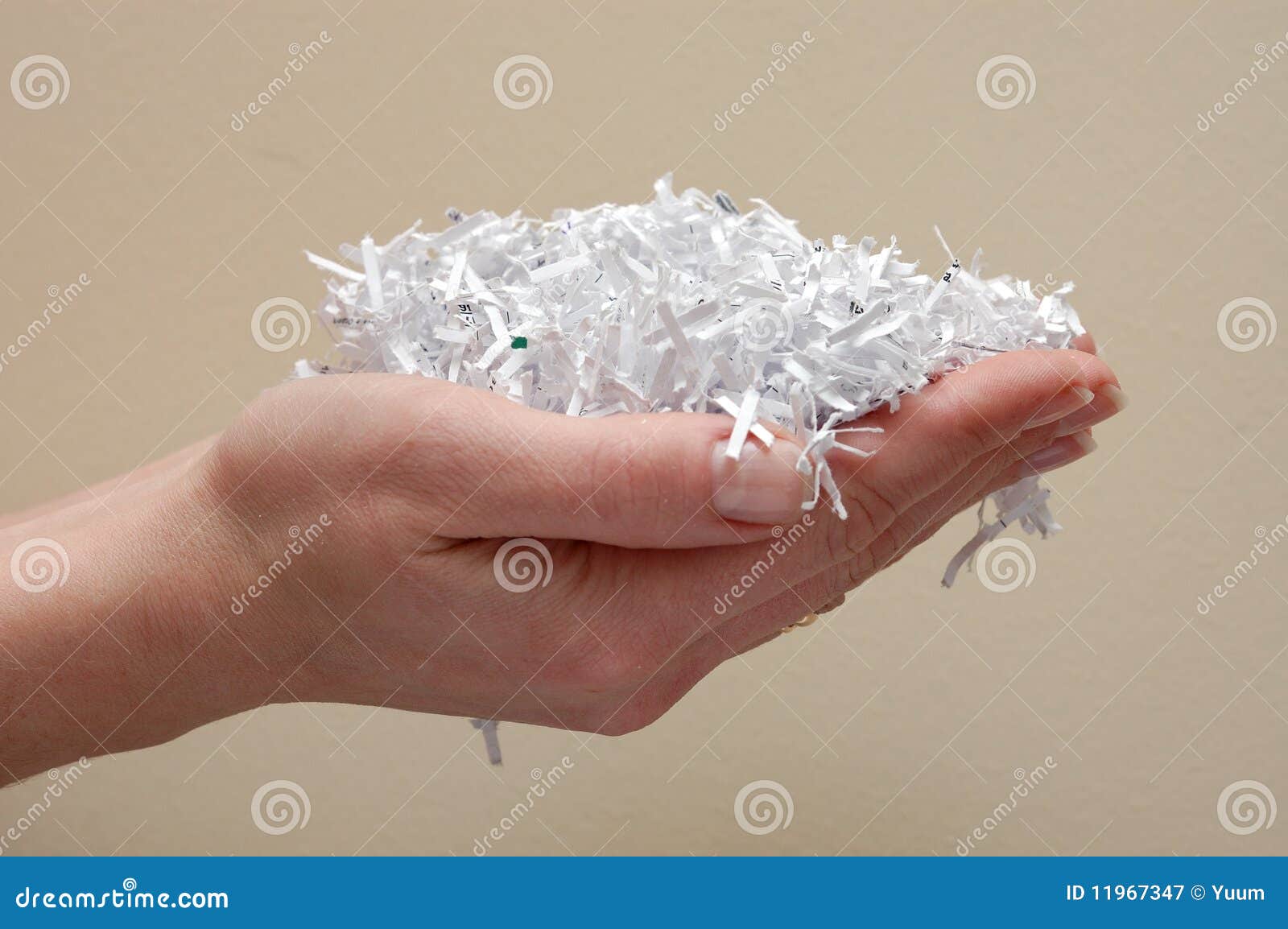 Hand Holding Shredded Paper Stock Image - Image of hand, junk: 11967347