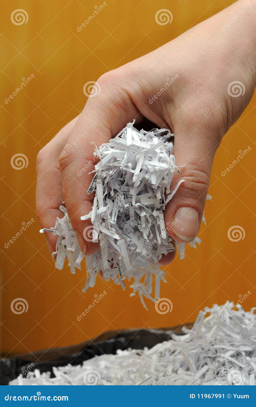 Hand Holding Shredded Paper 2 Stock Image - Image of pocket, destroy ...