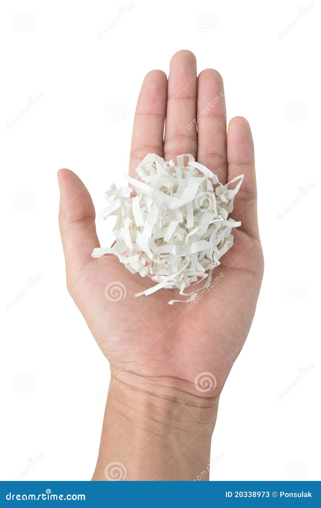 Hand Holding Shredded Paper Royalty-Free Stock Photography ...