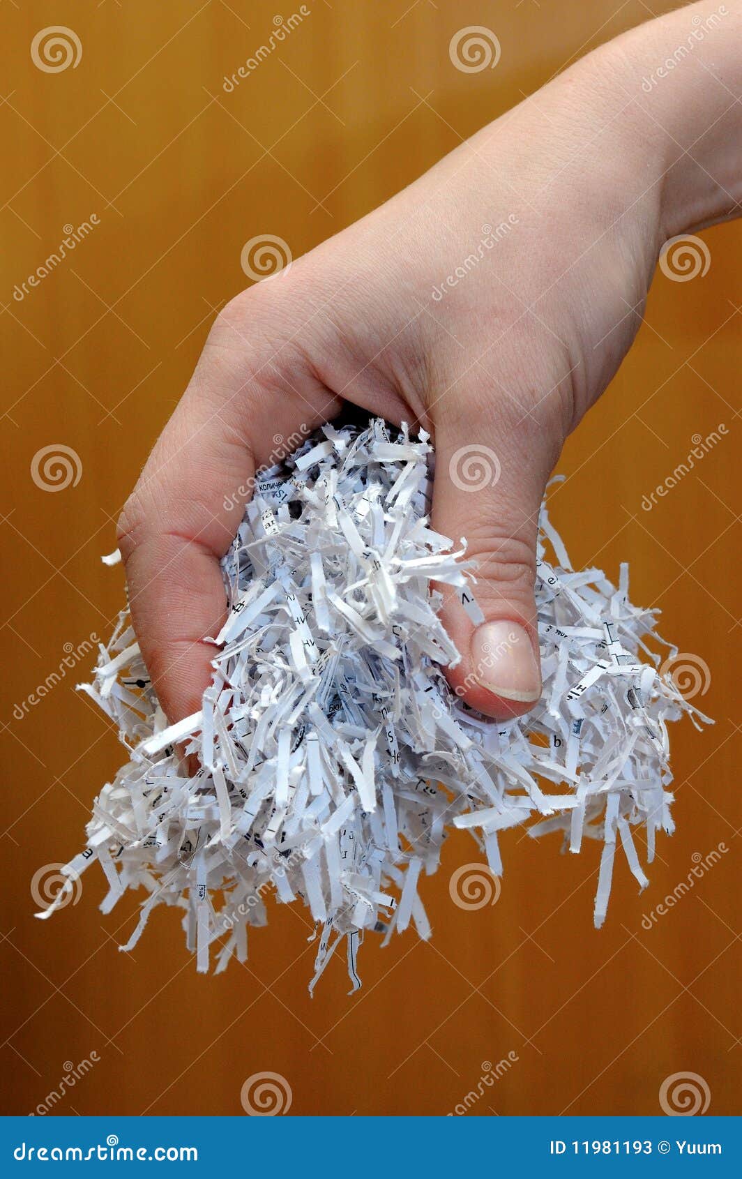 Hand Holding Shredded Paper 3 Stock Image - Image of taxes, secret ...