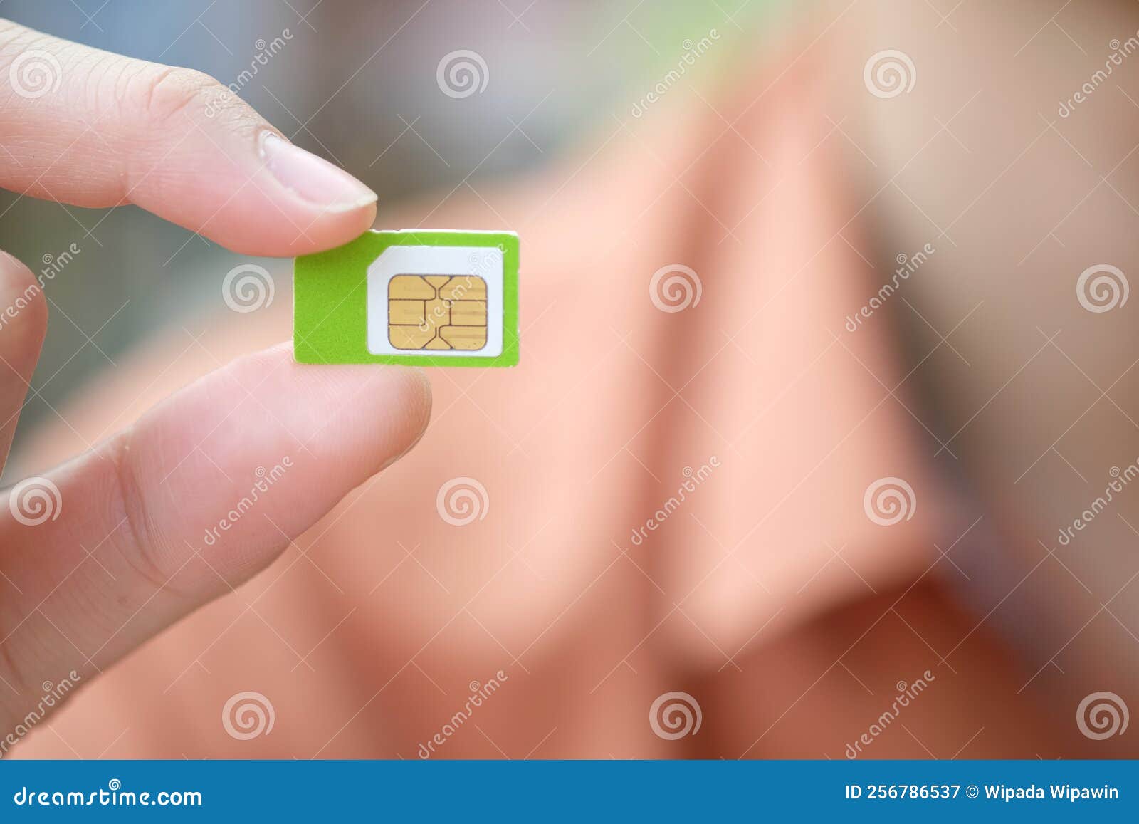 Hand holding sim card stock image. Image of communication - 256786537