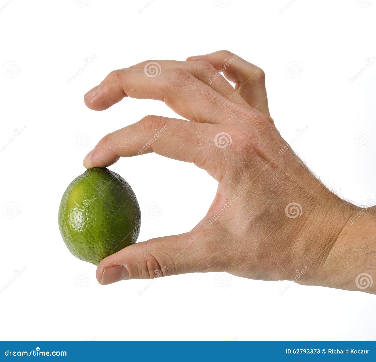Hand holding a single lime stock image. Image of show - 62793373