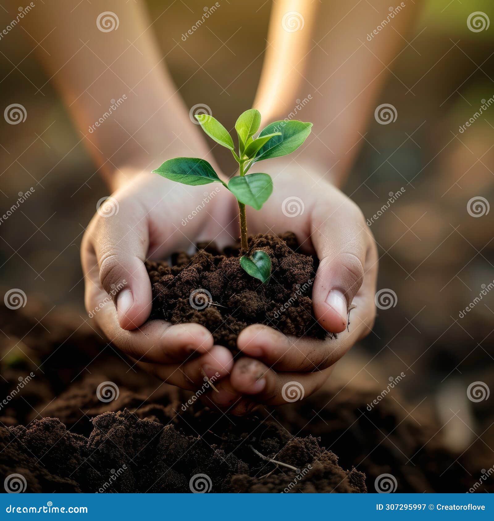 Hand Holding Small Plant Growing in Soil Stock Illustration ...