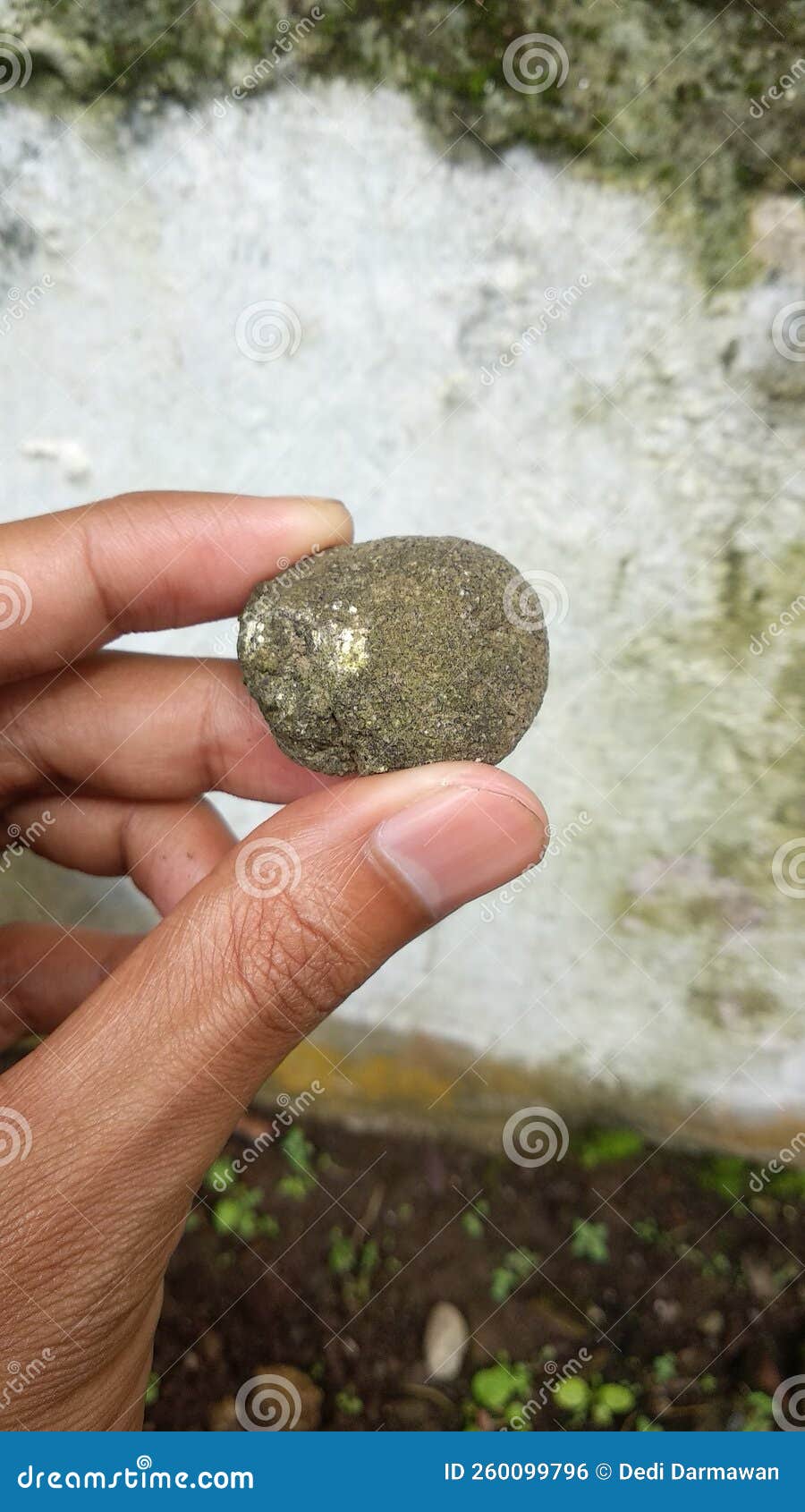 Hand holding small stone stock photo. Image of green - 260099796