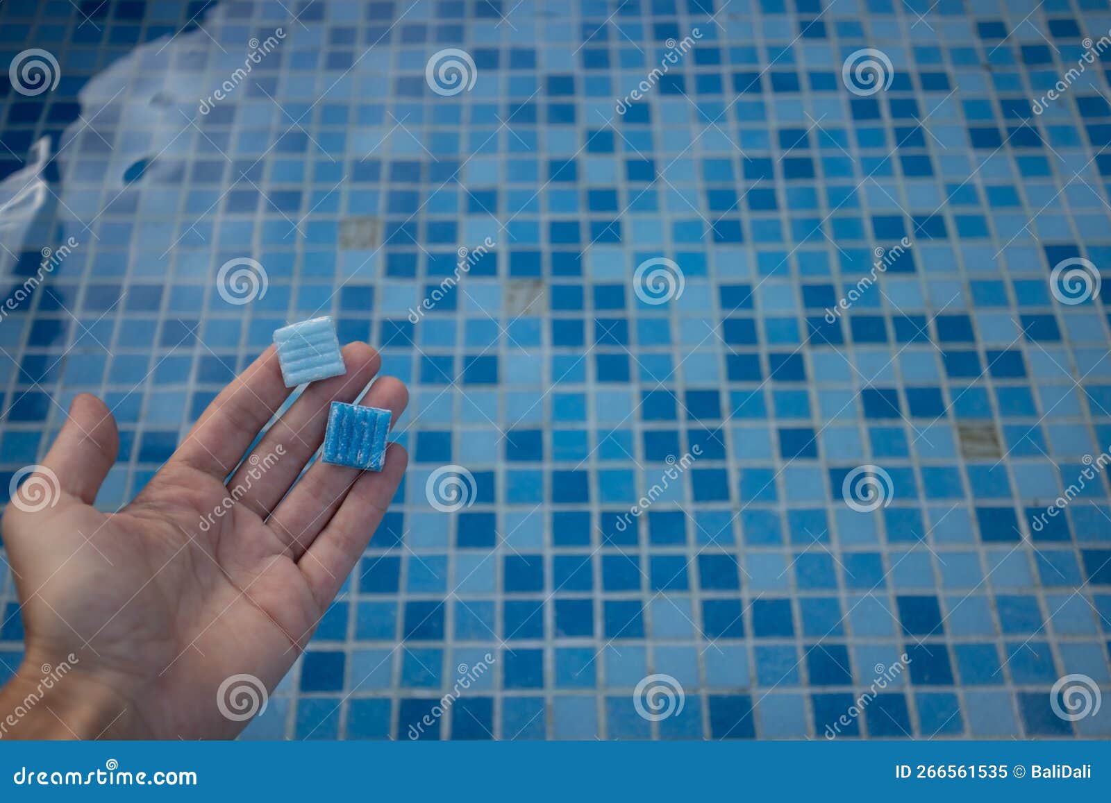 Hand Holding Small Tile from Floor of Swimming Pool. Reconstruction of ...