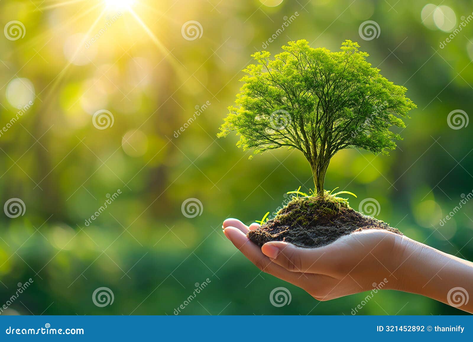 A Hand Holding a Small Tree Sapling Against a Blurred Green Background ...