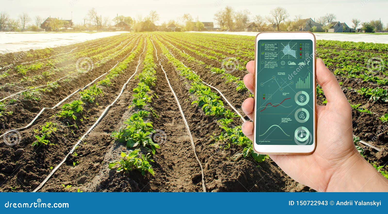 A Hand Is Holding A Smartphone With Irrigation System Management And ...