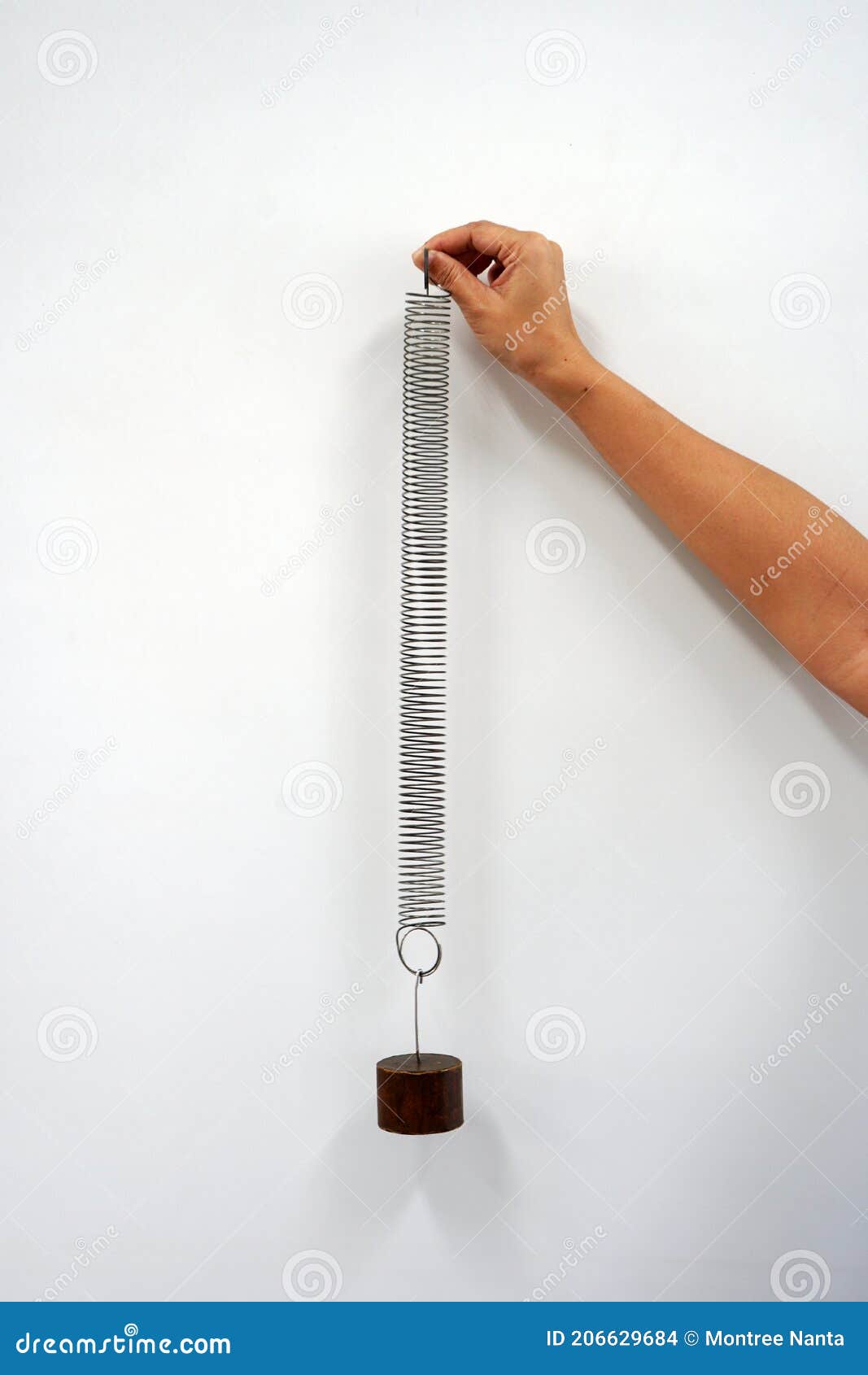 The Hand is Holding the Spring Extended Due To the Vertical Gravity ...