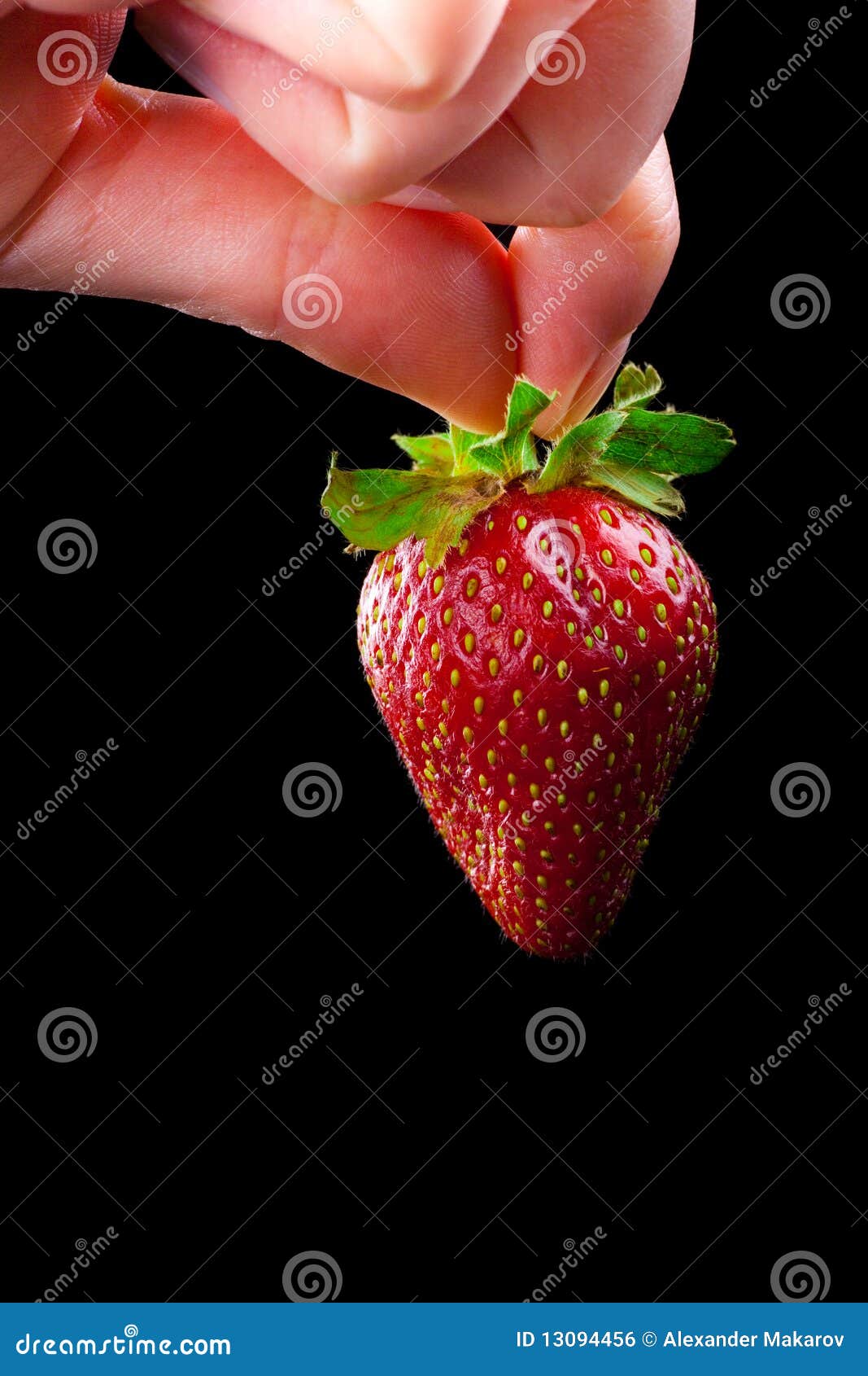 Hand holding a strawberry. stock photo. Image of delicious - 13094456