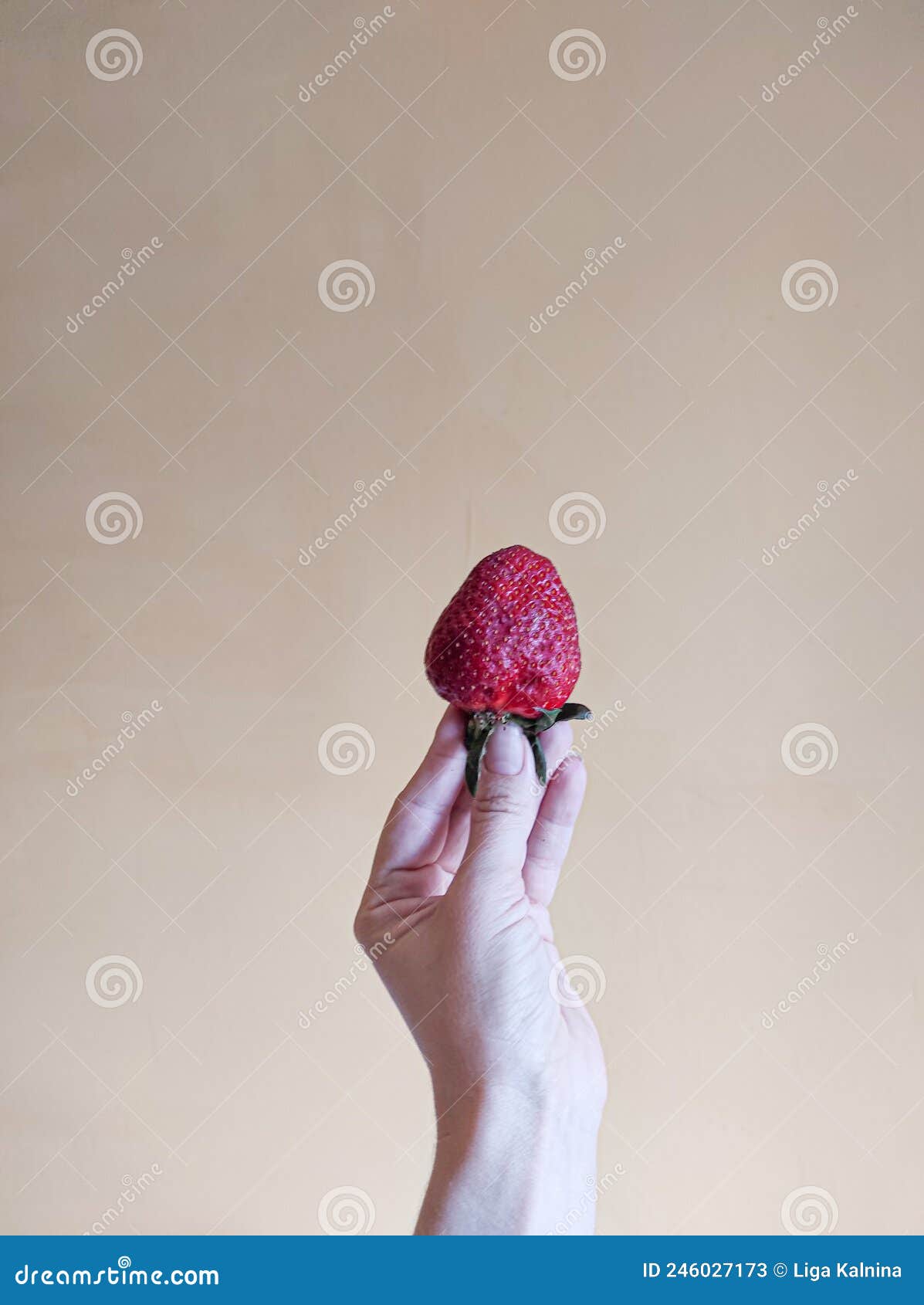 Hand holding strawberry stock image. Image of strawberry - 246027173