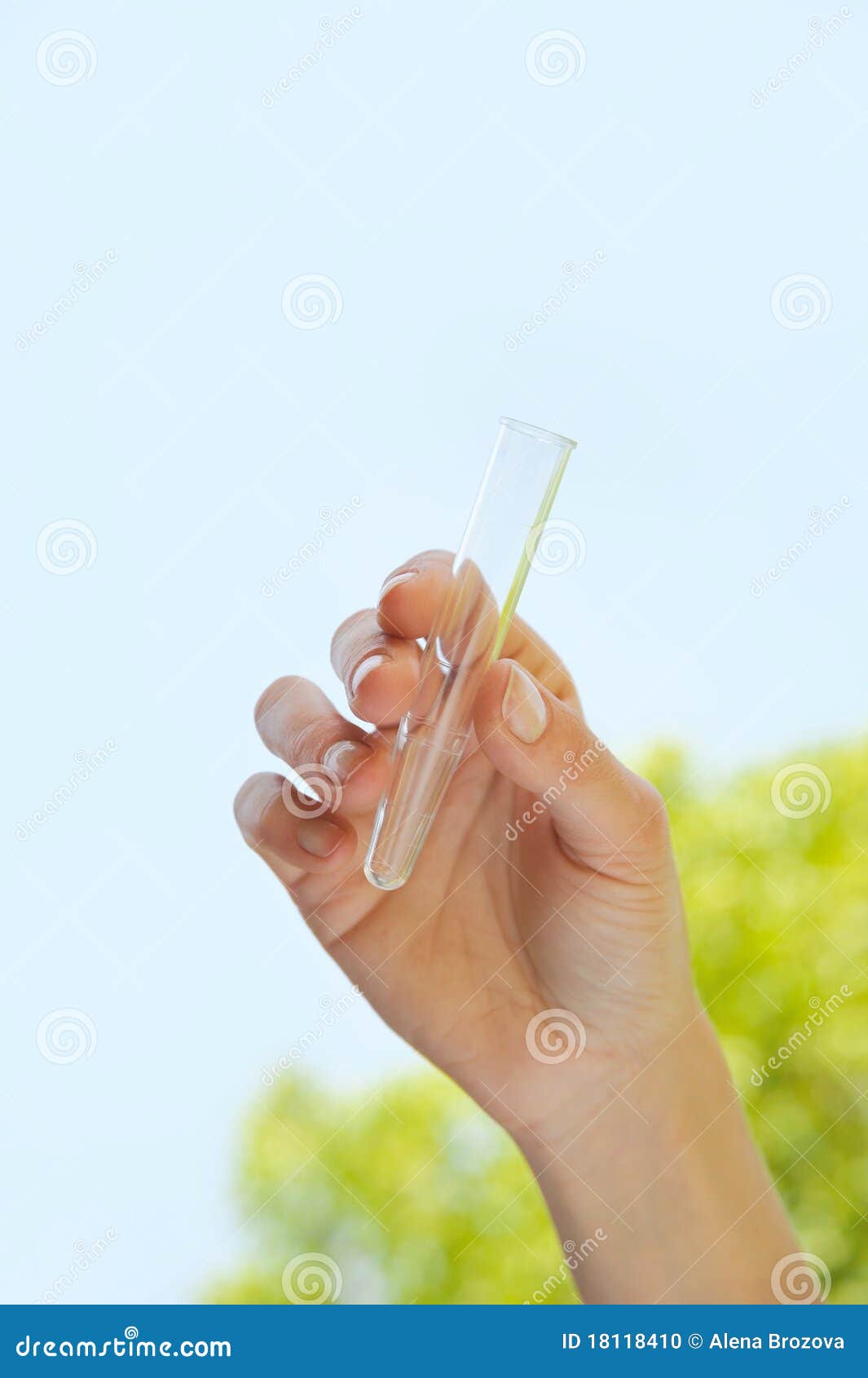 Hand holding test tube stock photo. Image of female, equipment - 18118410