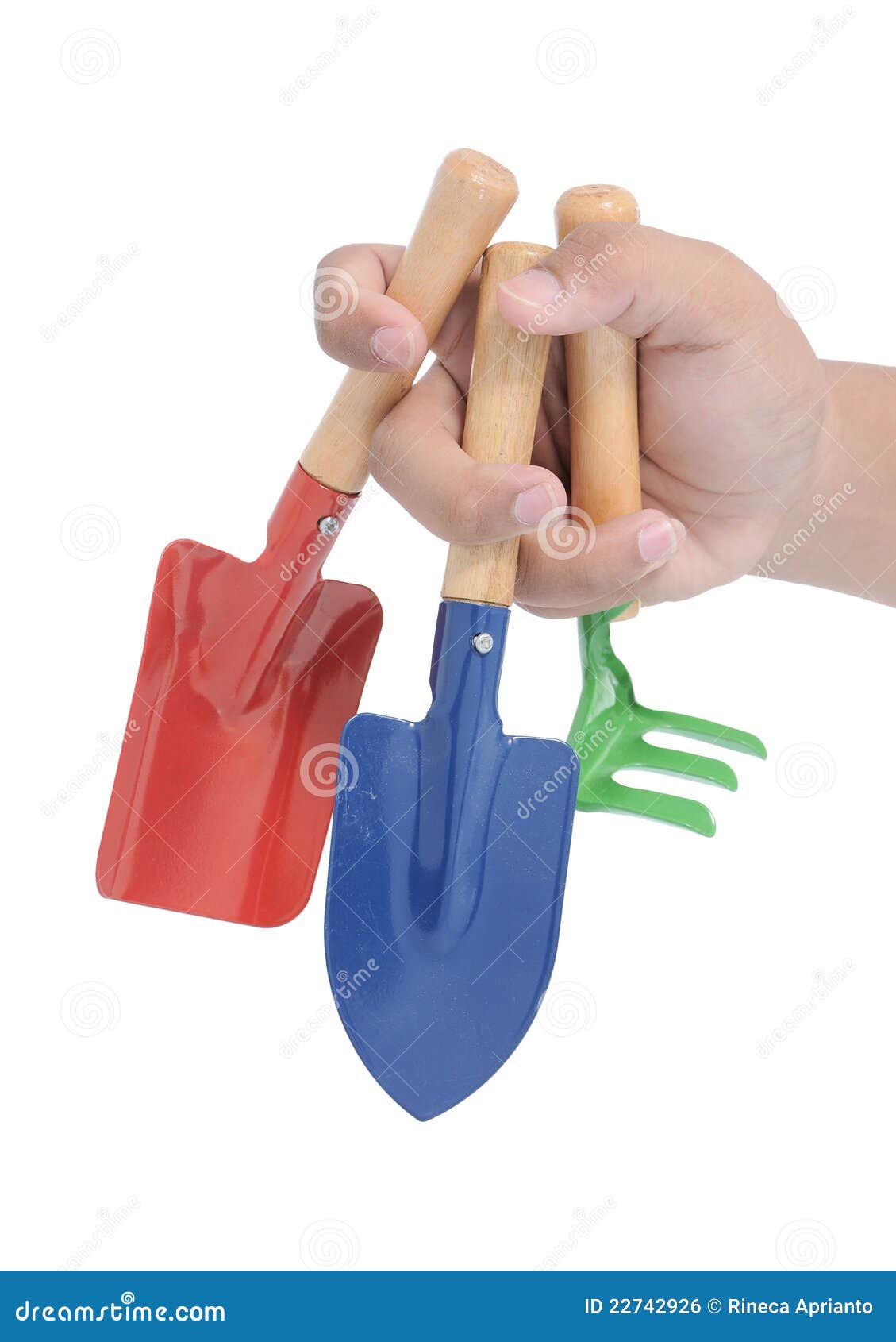 2,093 Hand Holding Garden Tools Stock Photos - Free & Royalty-Free ...