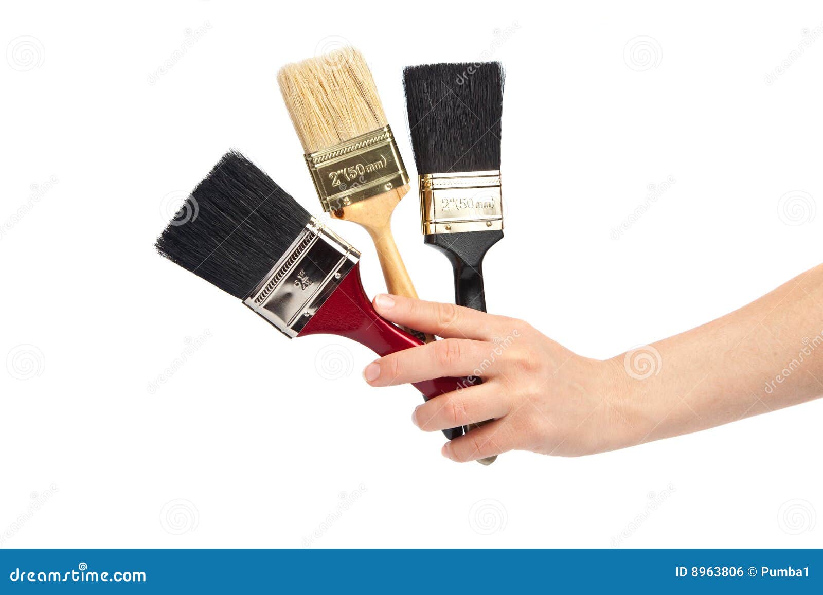 Hand Holding a Three Paint Brush Stock Photo - Image of brush, real ...