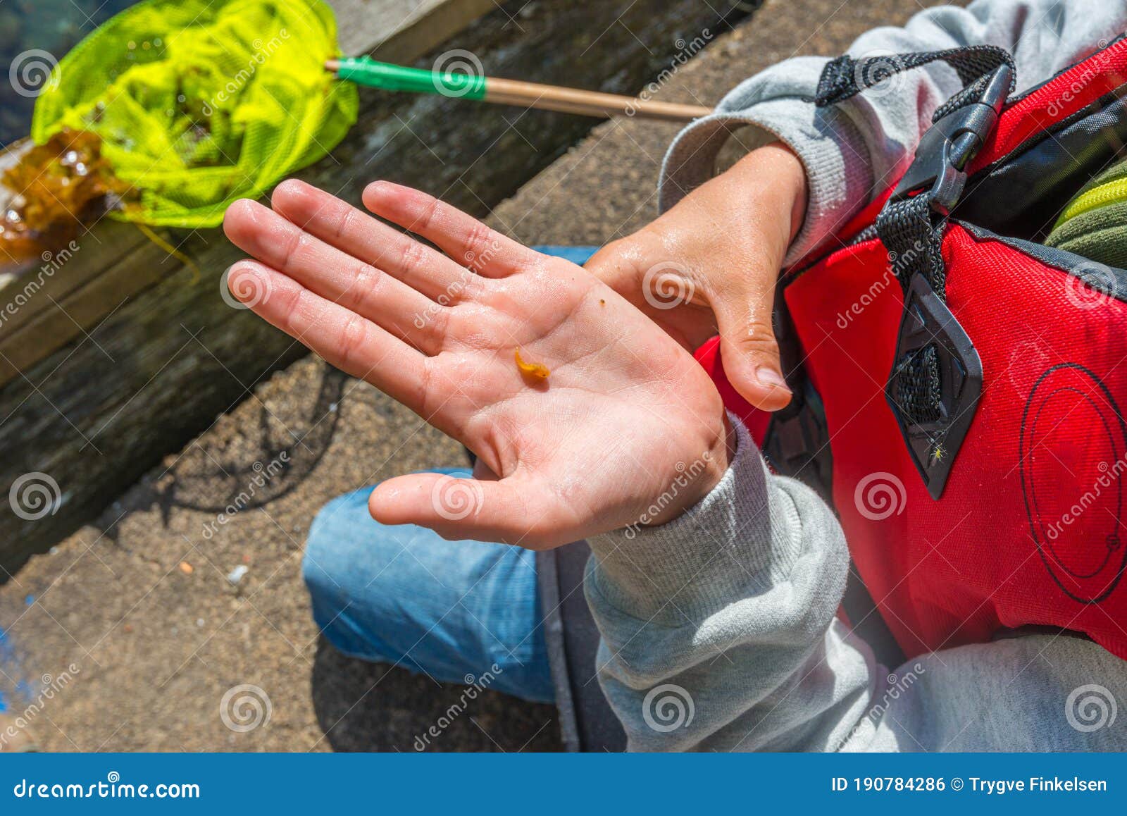 Hand Holding a Tiny Orange Fish Stock Photo - Image of hand, adult ...