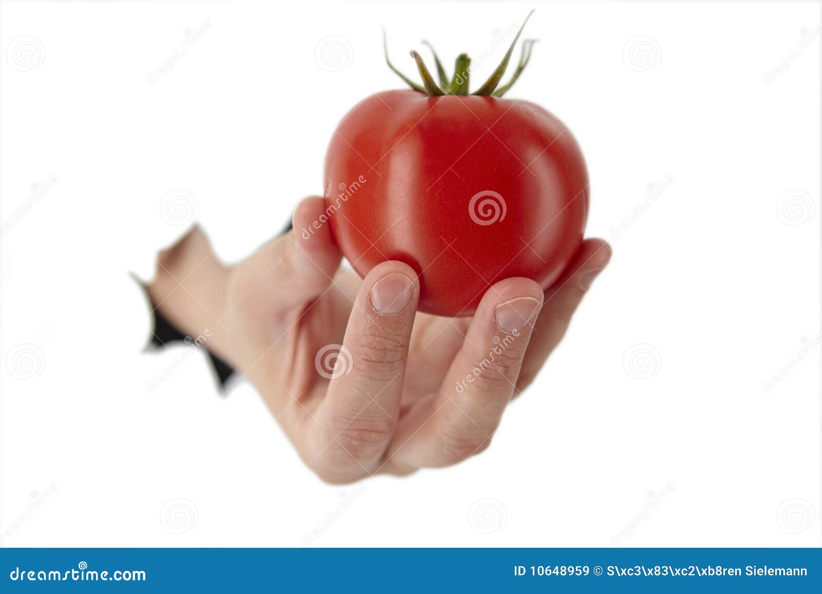 Hand is holding a tomato stock image. Image of clipping - 10648959