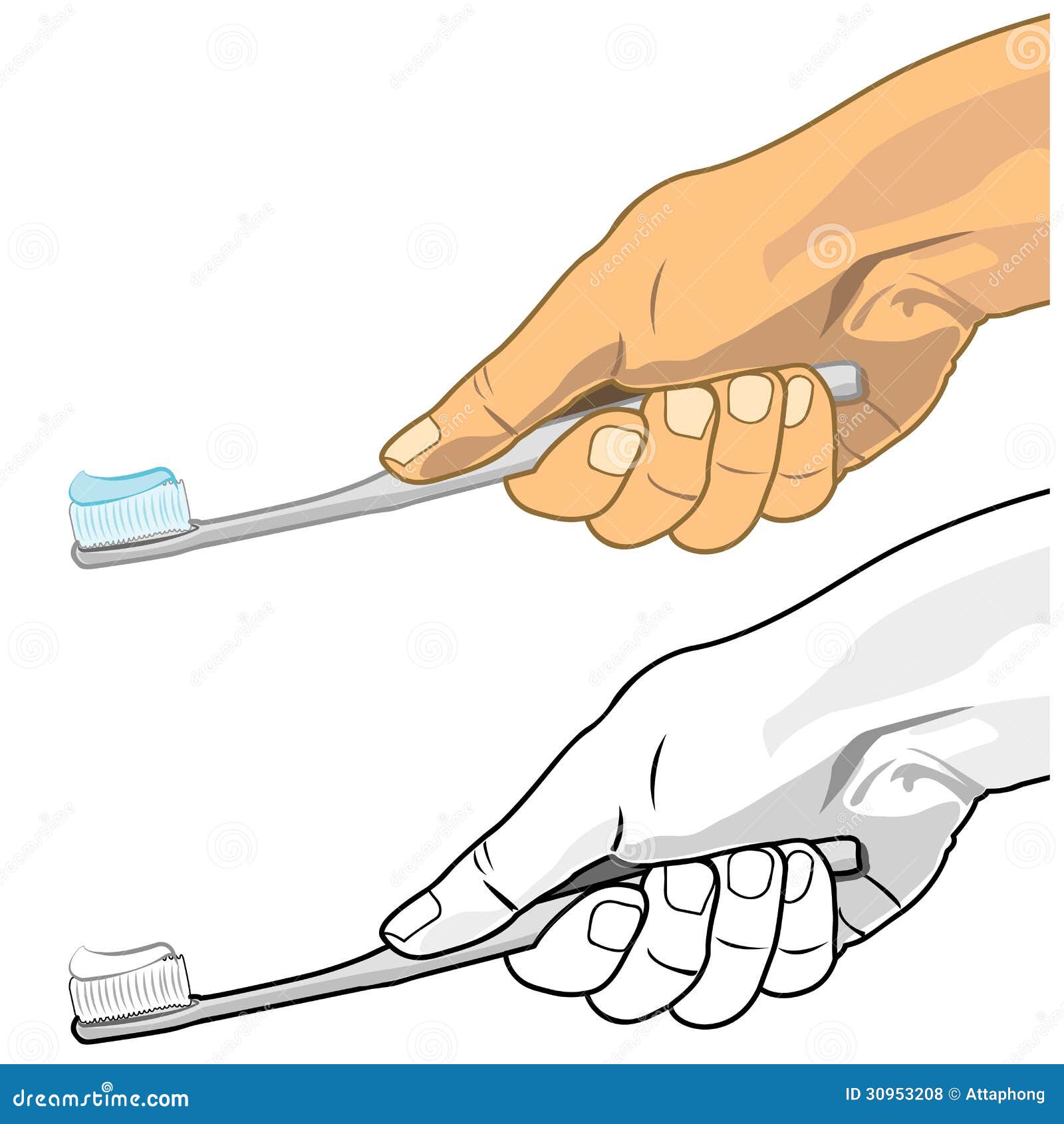 Hand Holding Toothbrush Vector Stock Vector - Illustration of dental ...