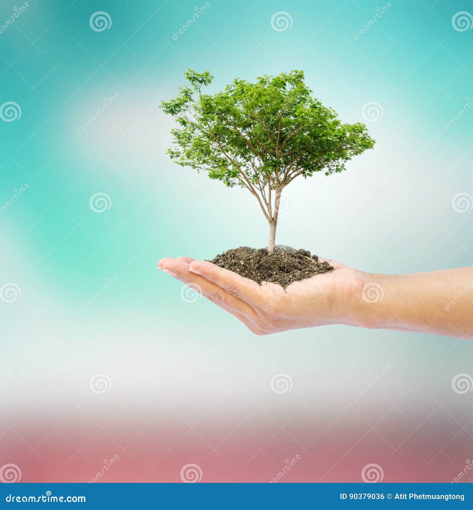 Hand Holding Tree on Abstract Nature Background Stock Photo - Image of ...