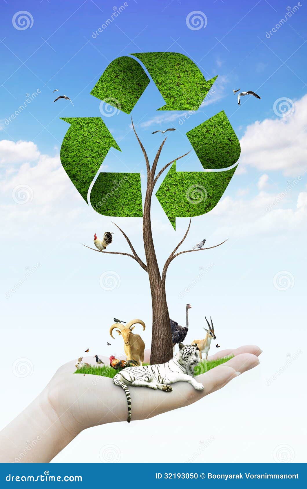 Hand Holding Tree As a Recycle Symbol Stock Photo - Image of graphic ...