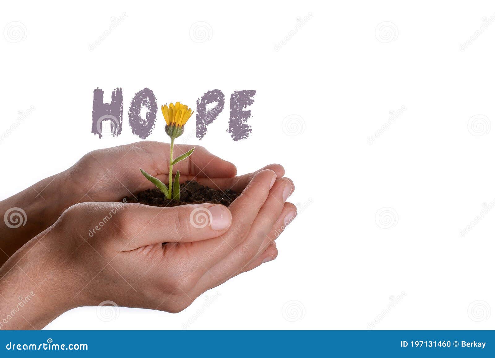 Hand Holding Tree on Globe beside HOPE Wording Stock Photo - Image of ...