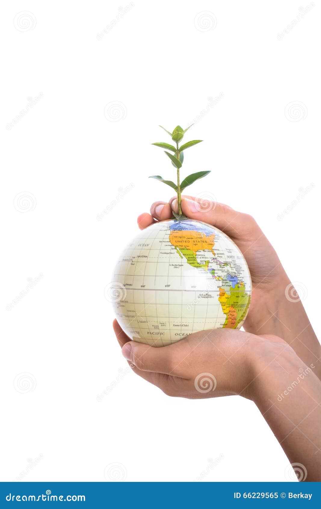 Hand holding tree on globe stock image. Image of planting - 66229565