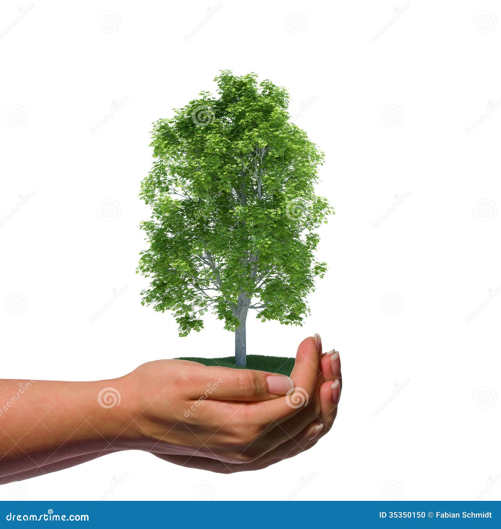 Hand holding a tree stock illustration. Illustration of nature - 35350150