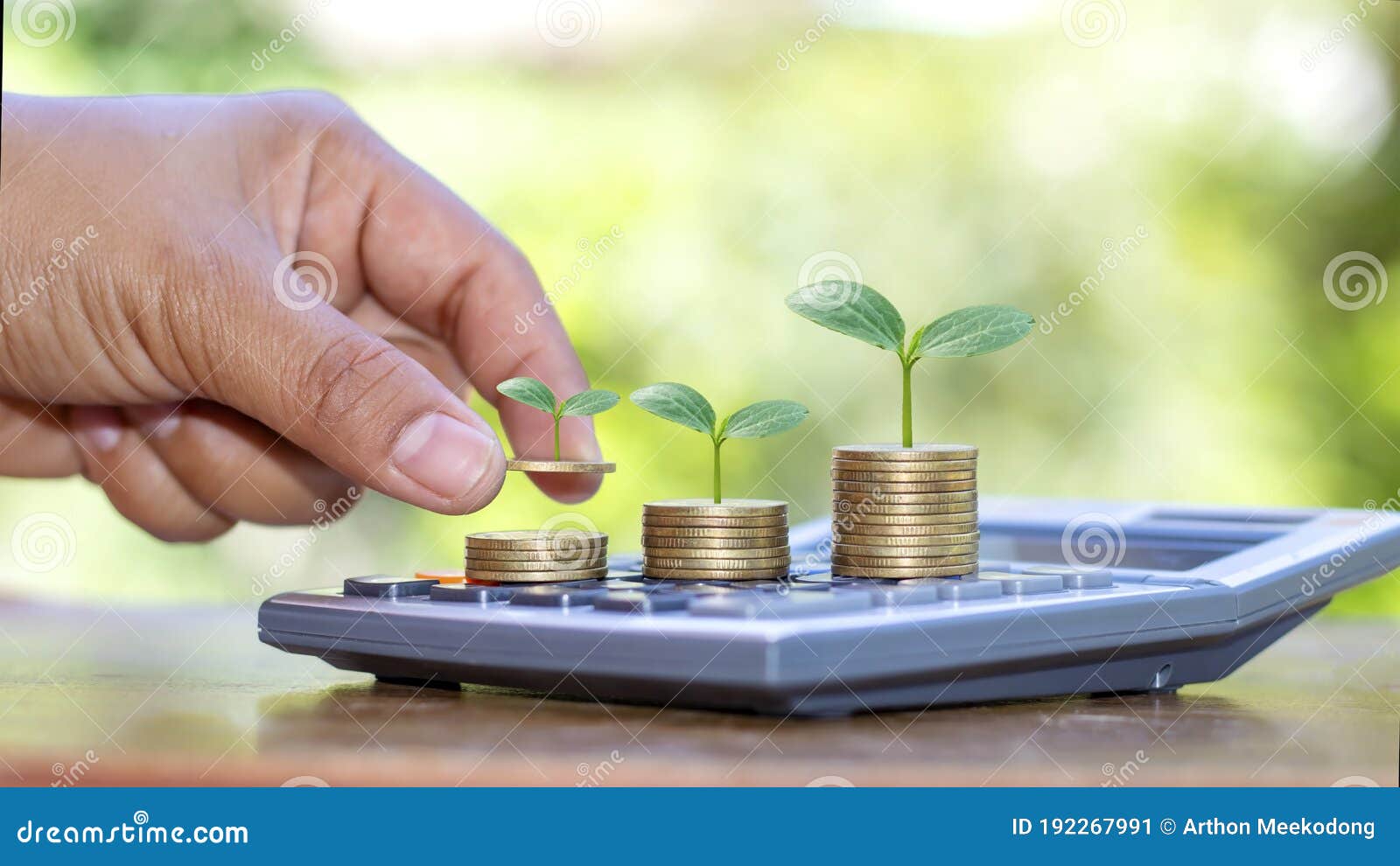 The Hand Holding the Tree that Grows on the Coin Includes the Sapling ...