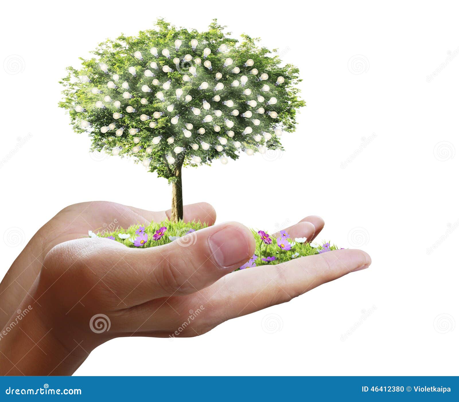 Hand Holding Tree ,light Bulb Stock Photo - Image of leaf, light: 46412380