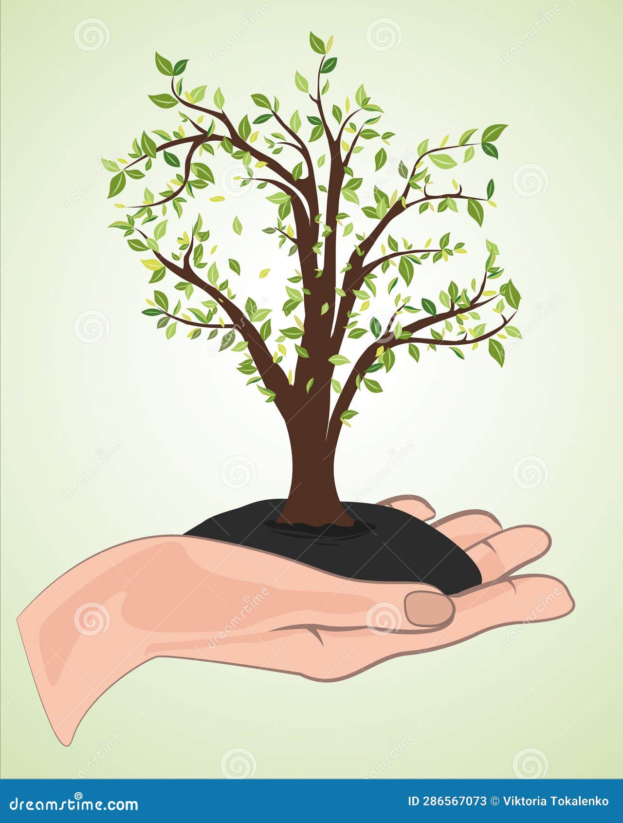 Hand Holding Tree Nature Conservation Vector Illustration Stock ...