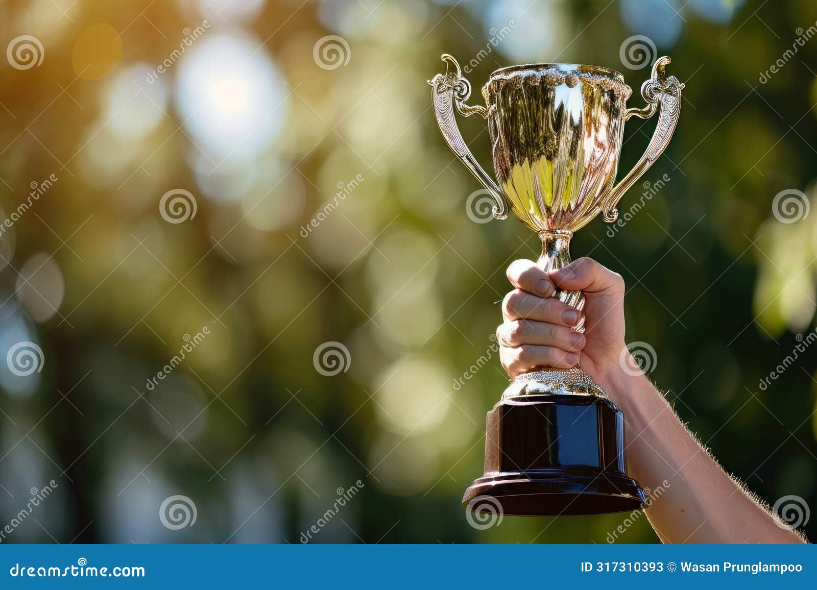 A Hand Holding a Trophy Up in the Air Stock Image - Image of salute ...