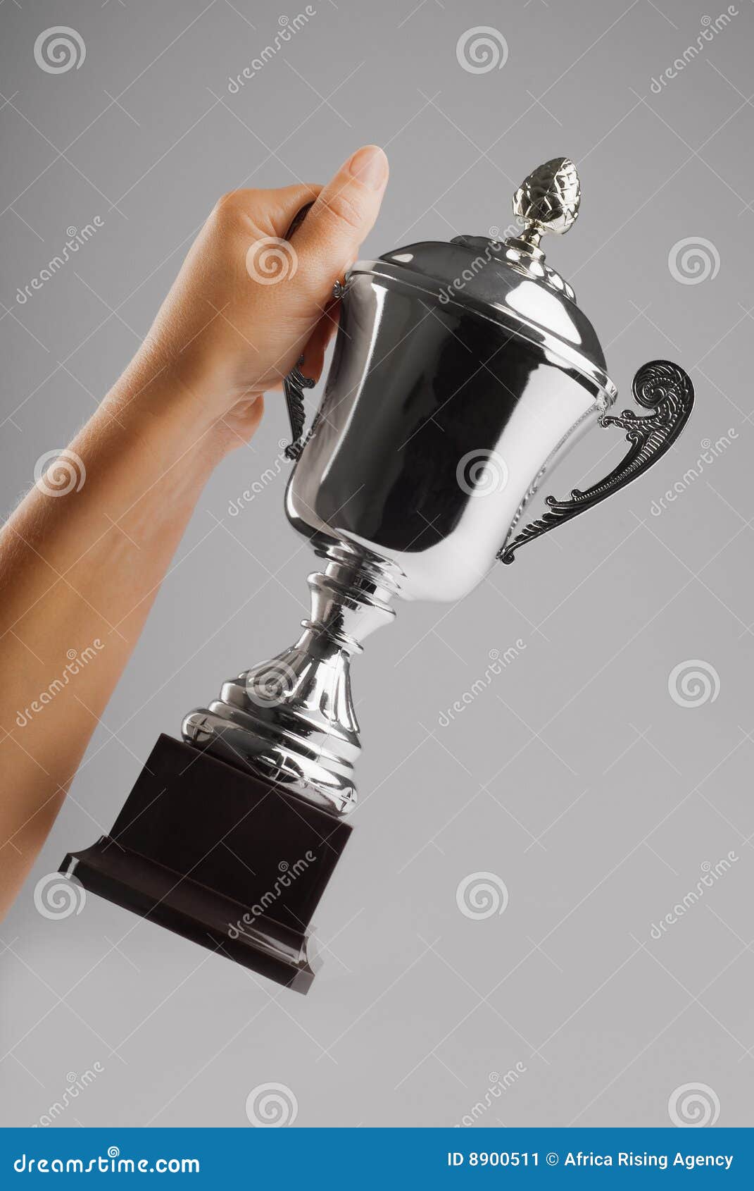 Hand Holding Trophy