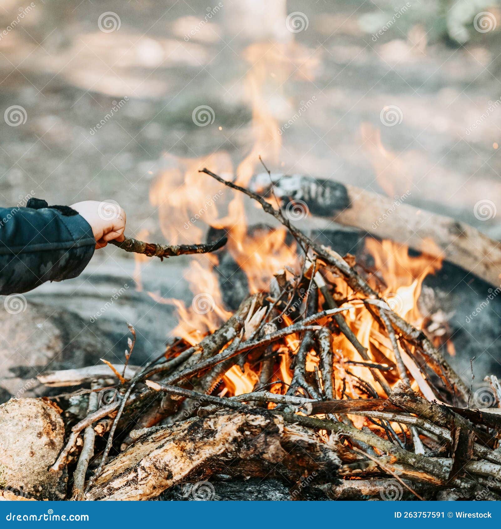 Hand Holding a Twig and Playing with the Campfire Stock Image - Image ...