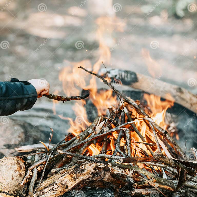 Hand Holding a Twig and Playing with the Campfire Stock Image - Image ...