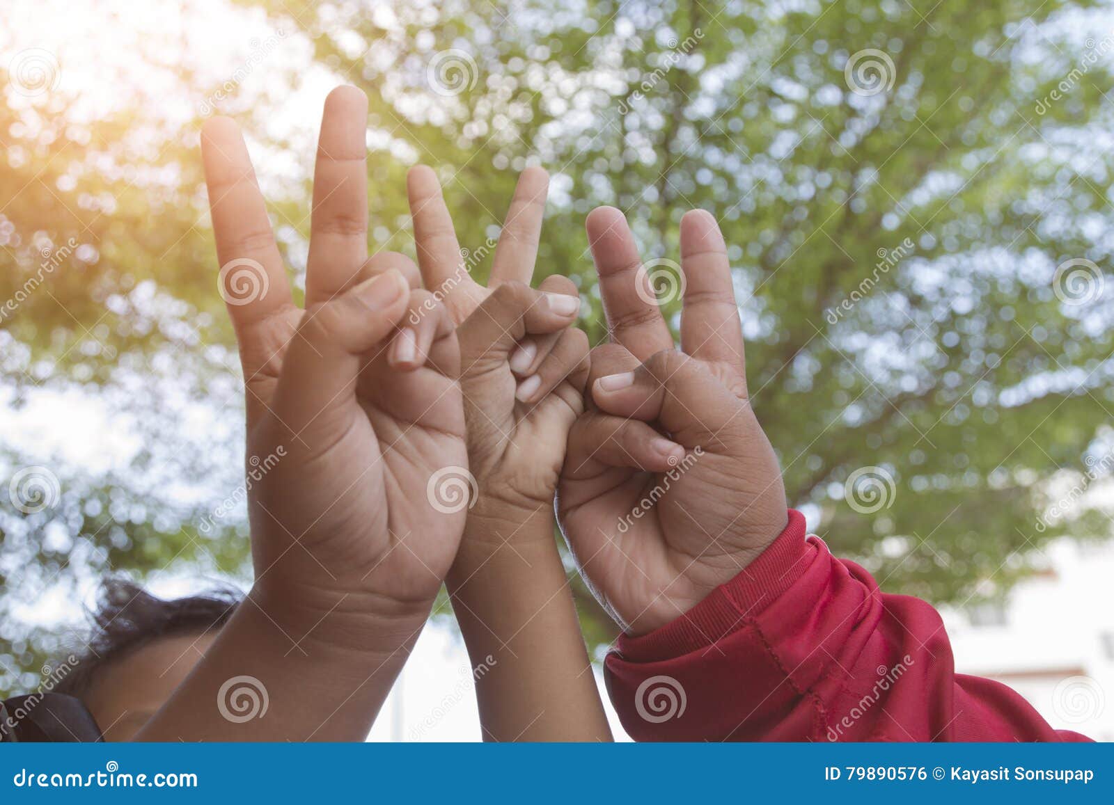 Hand Holding Up the Peace Sign Stock Photo - Image of hand, outdoor ...