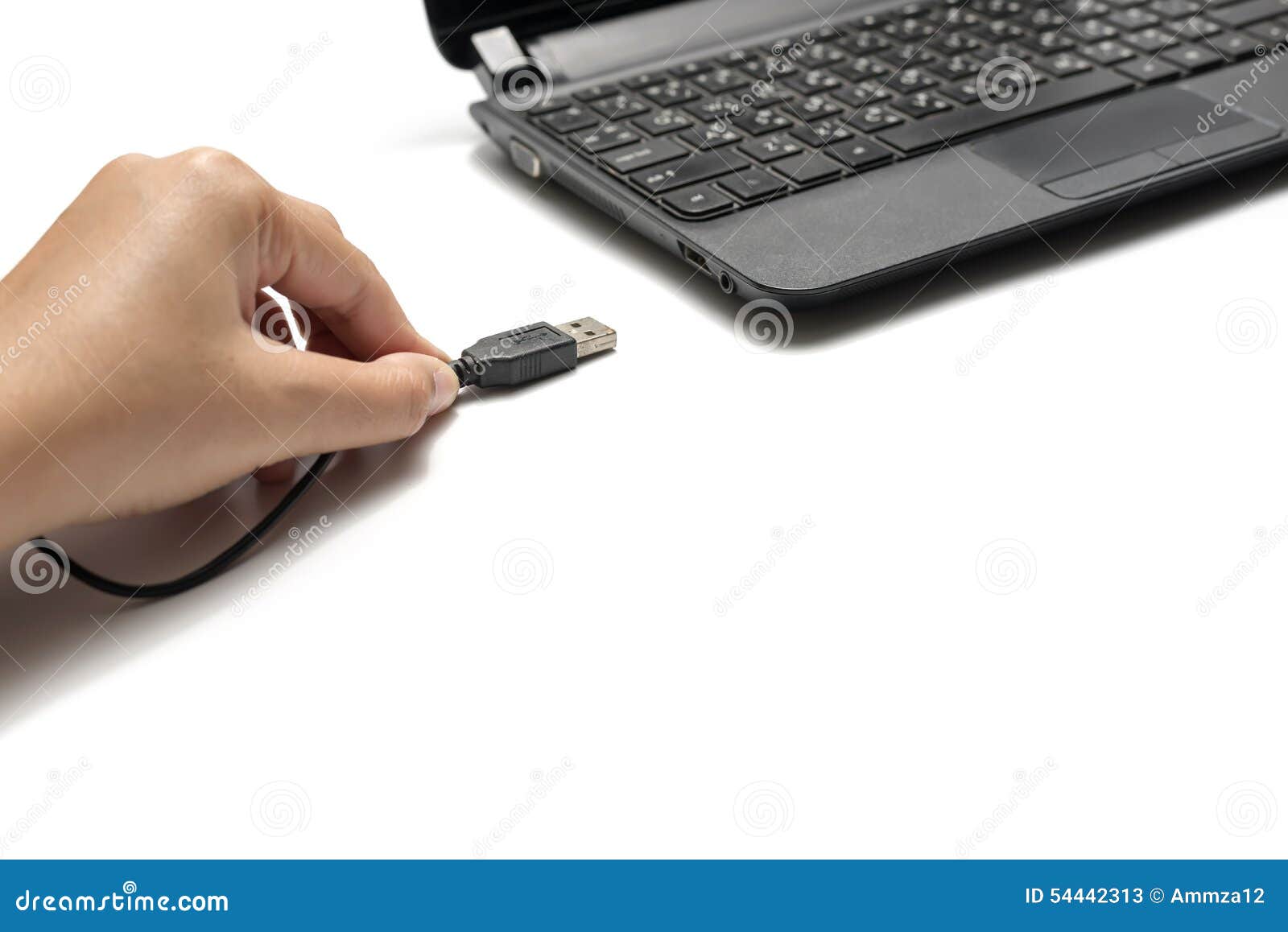 Hand Holding Usb Cable and Laptop Stock Image - Image of removable ...