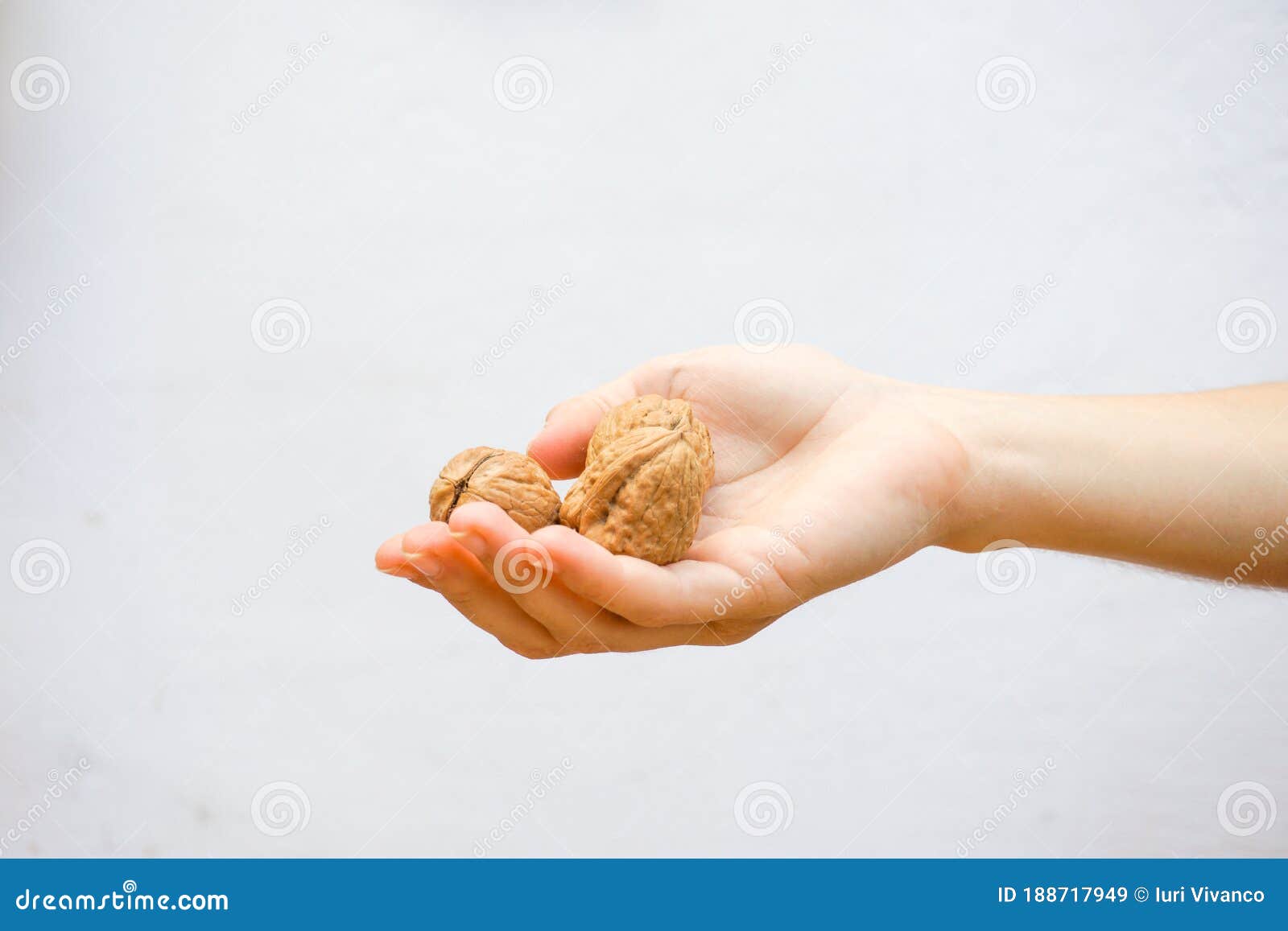 Hand holding walnuts stock image. Image of expression - 188717949