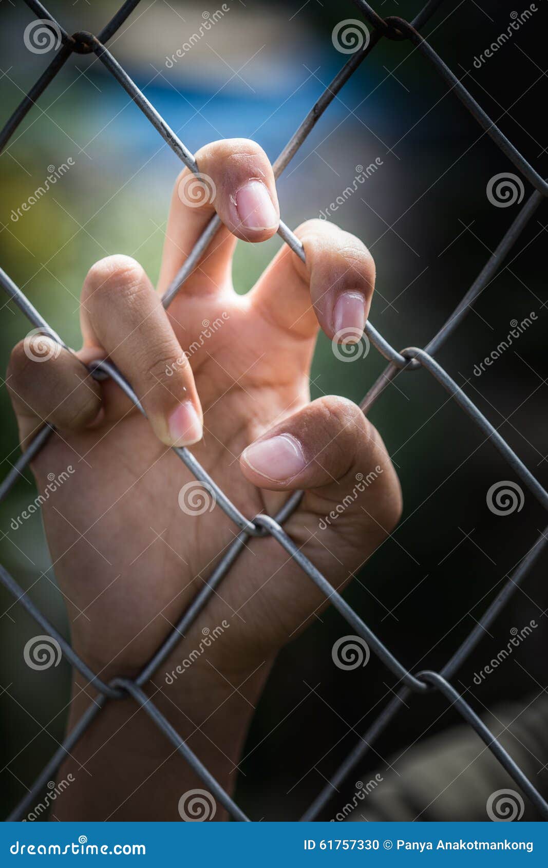 Hand holding wine net. stock photo. Image of convict - 61757330
