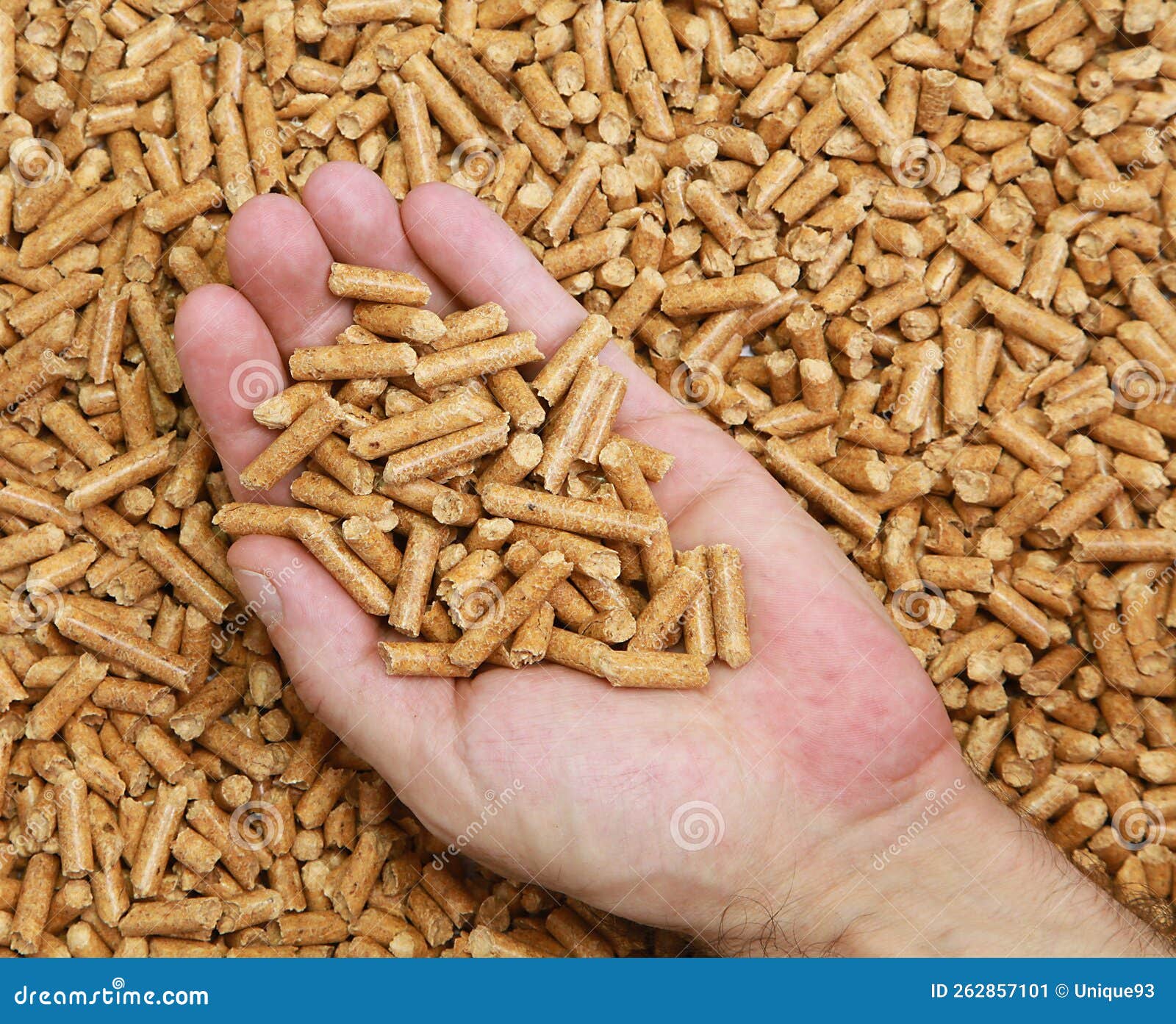 Hand holding wood pellets stock image. Image of boiler - 262857101