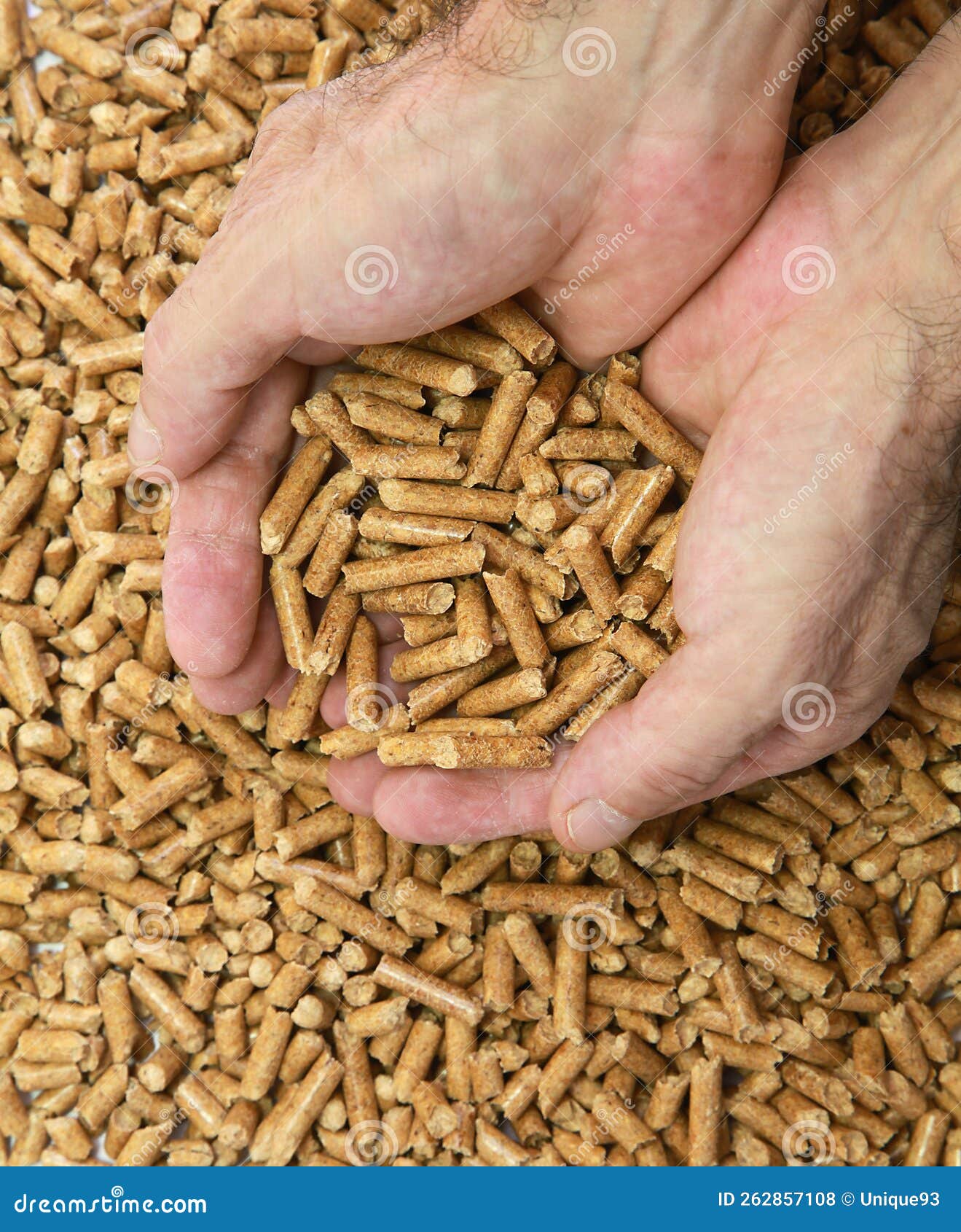 Hand holding wood pellets stock photo. Image of sustainable - 262857108