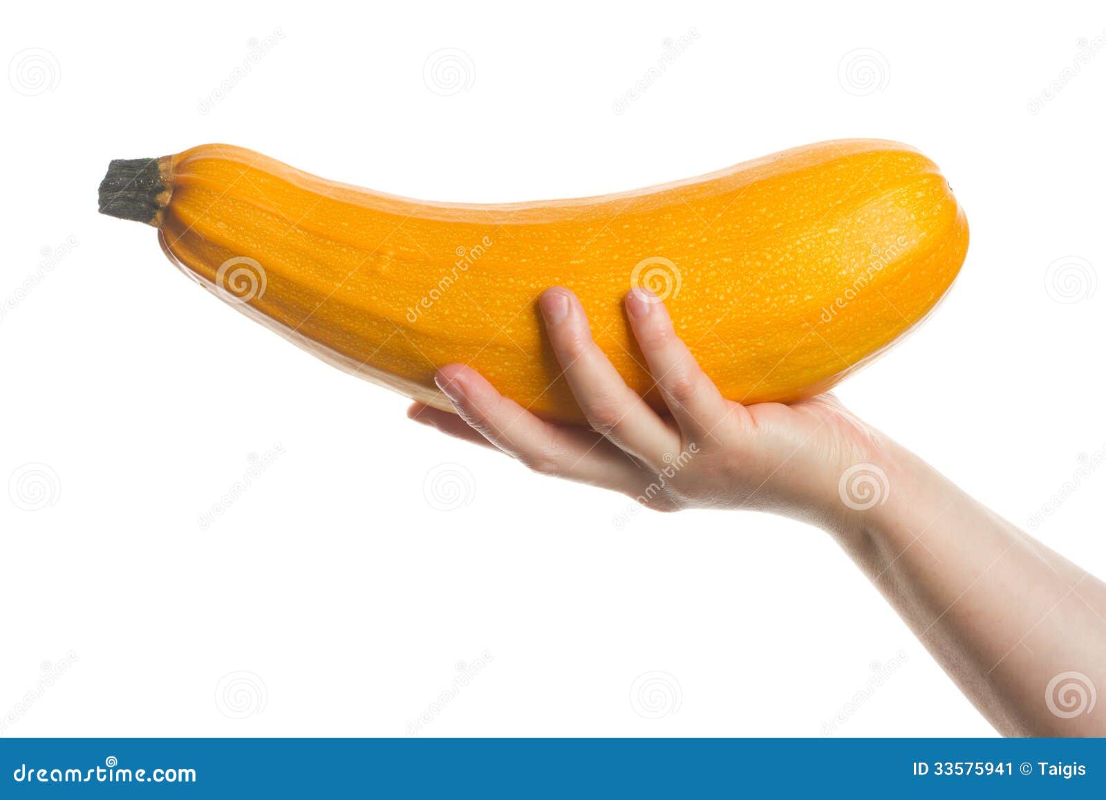 Hand holding zucchini stock image. Image of healthy, female - 33575941