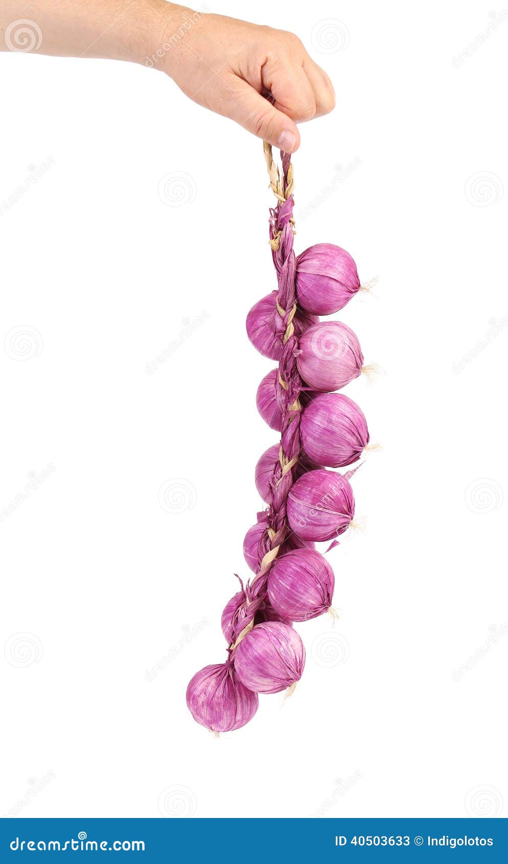 Hand Holds Artificial Plait of Onions. Stock Image - Image of ...